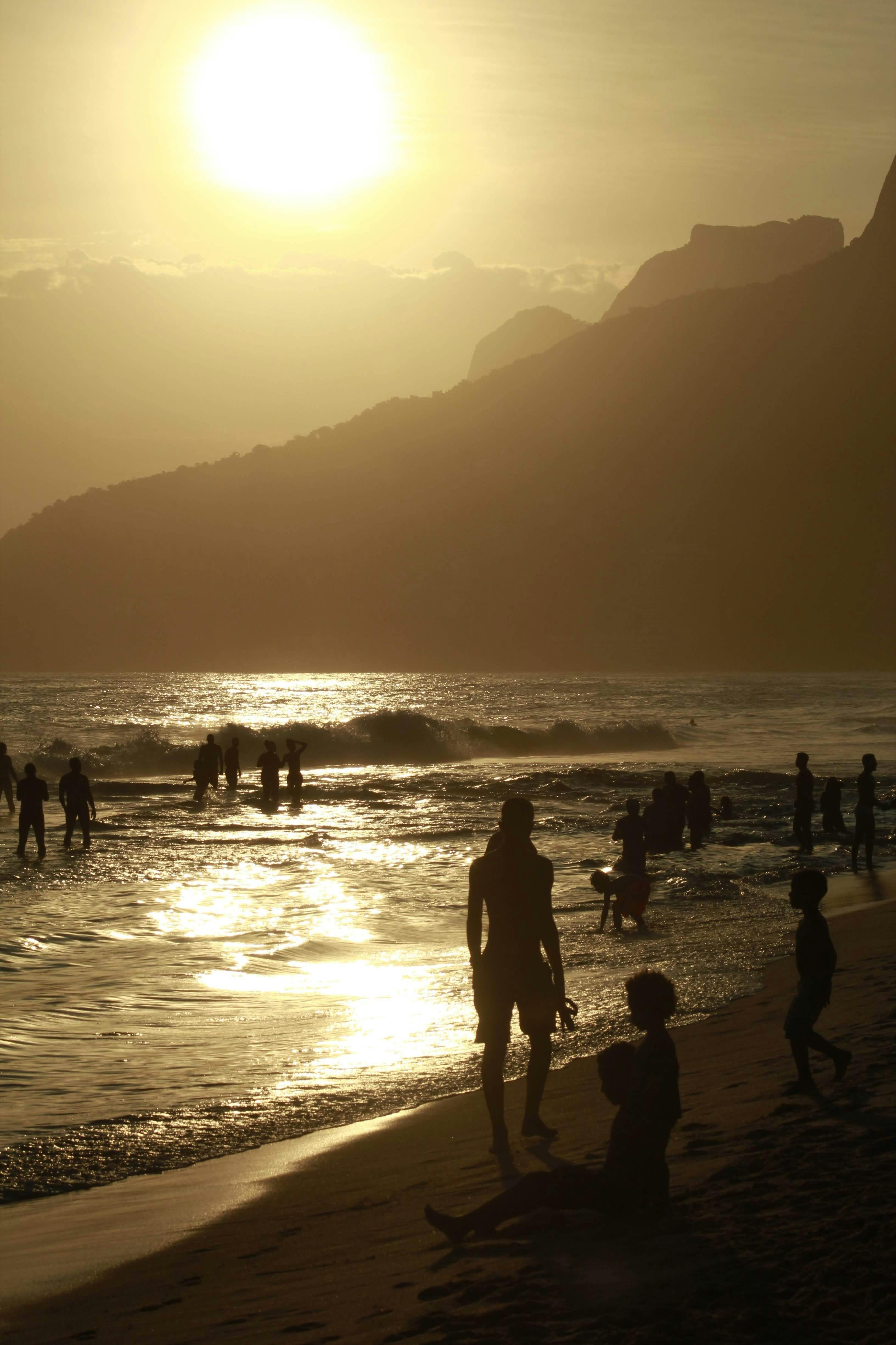 Silhouette of People on the Beach during Sunset · Free Stock Photo