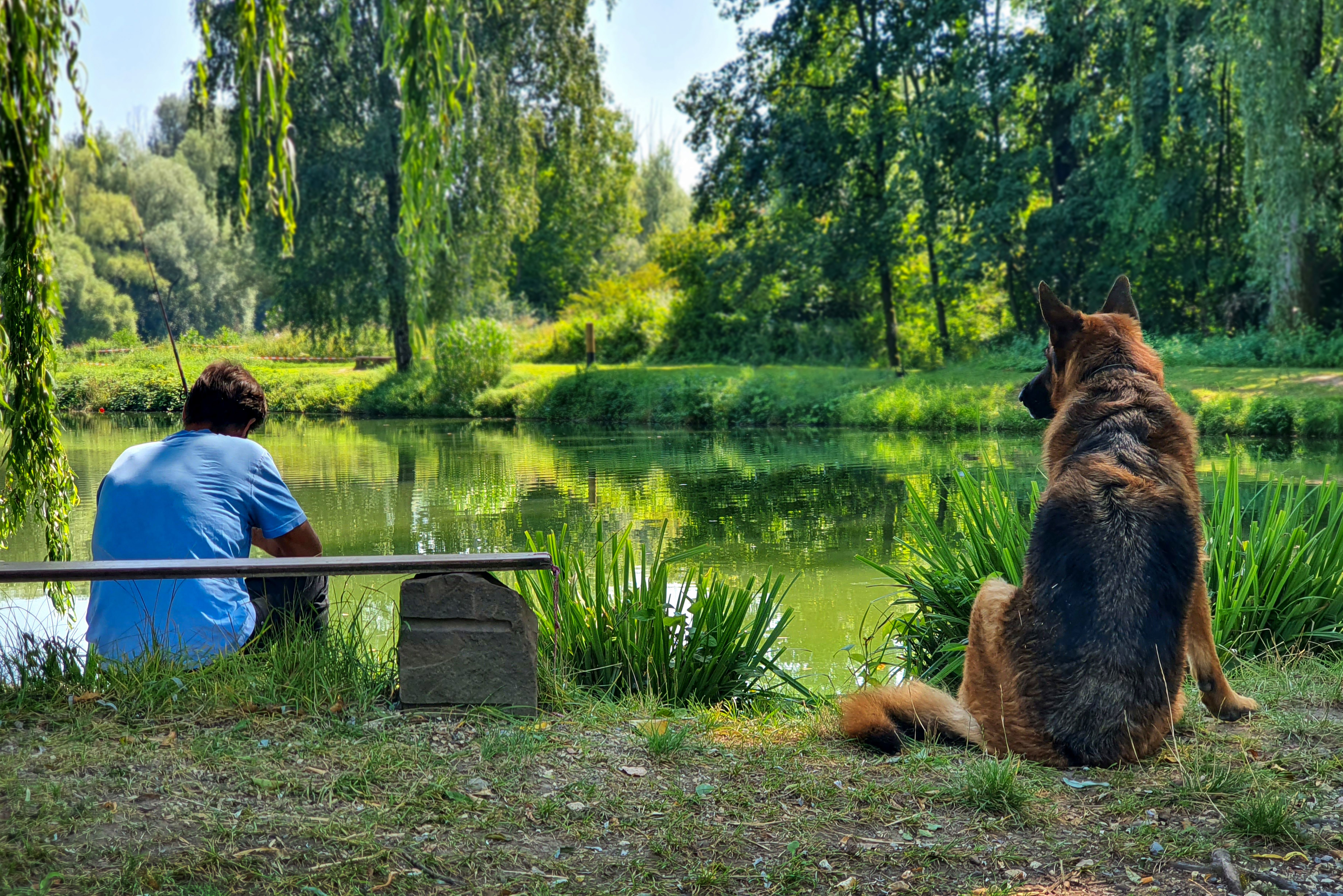 A Man Sitting Beside the River · Free Stock Photo