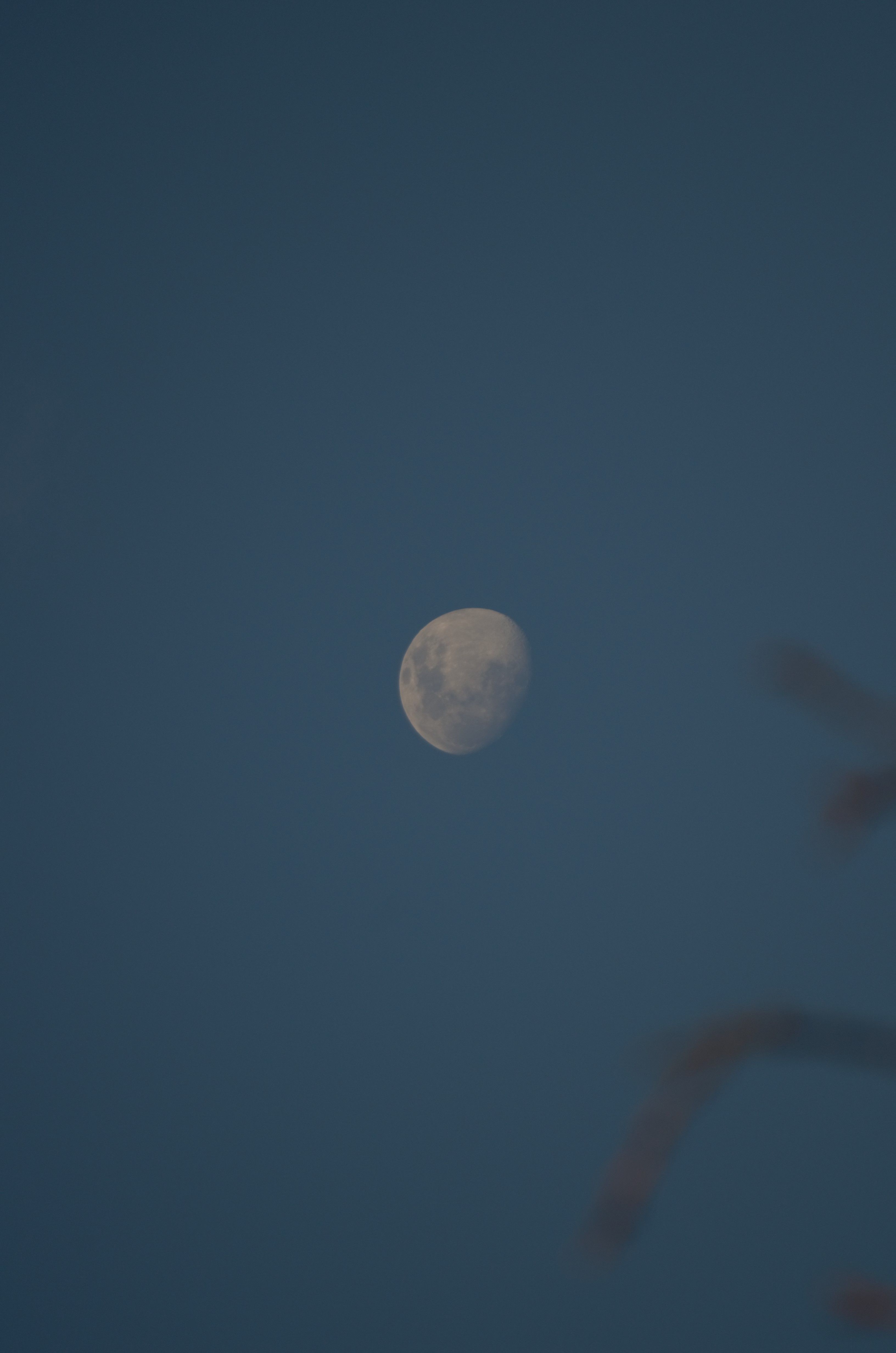 Moon on Blue Sky · Free Stock Photo