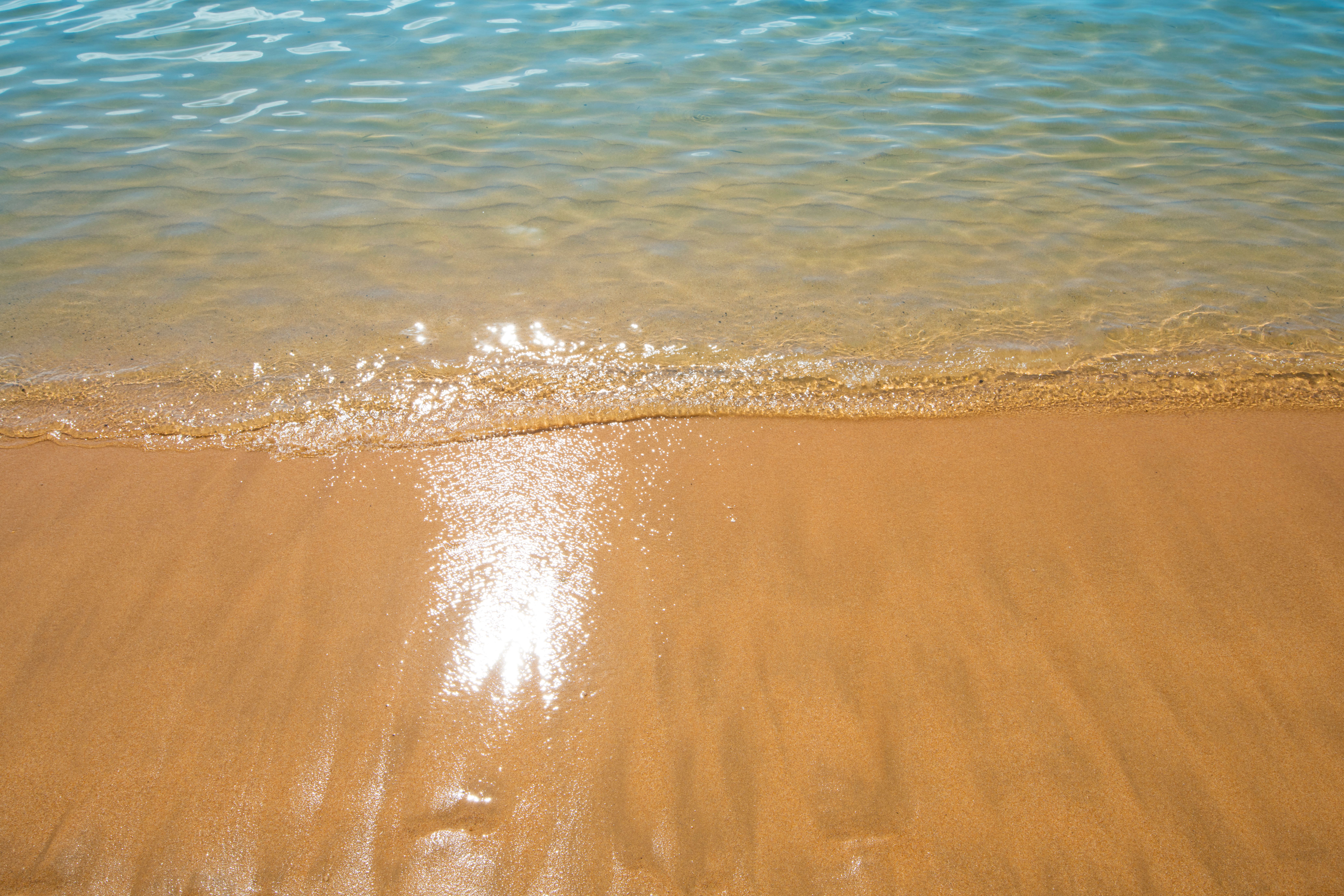 Brown Sand on the Beach · Free Stock Photo