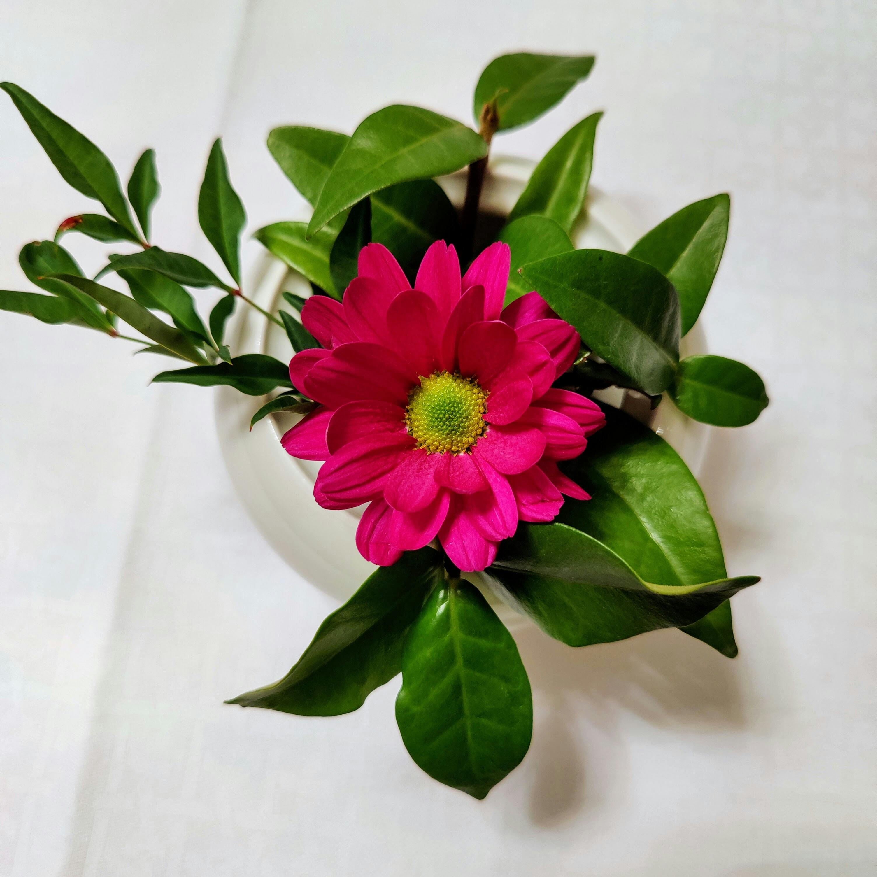 Krisztina Varga - Fotografía