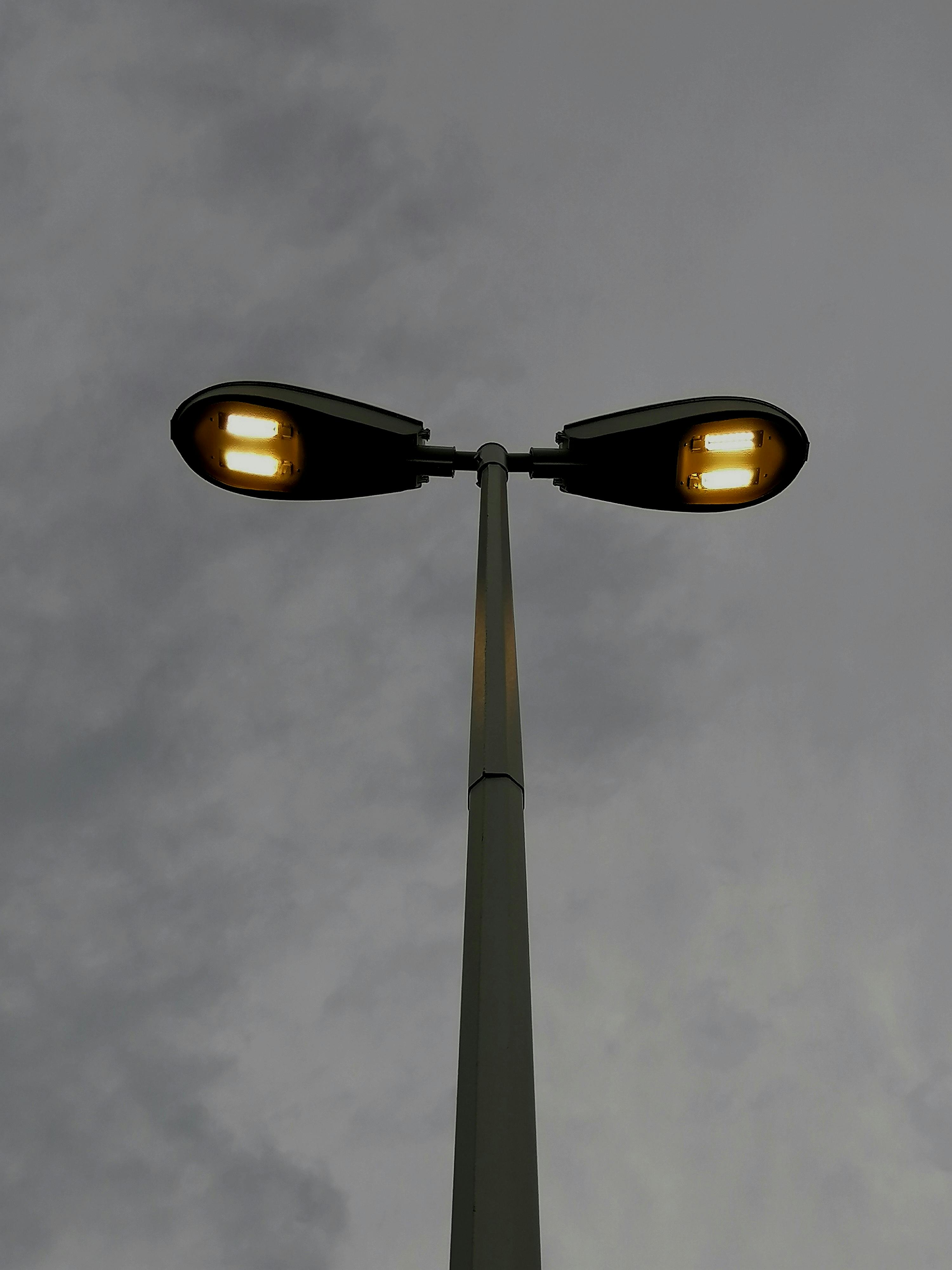 Trees and a Street Light · Free Stock Photo