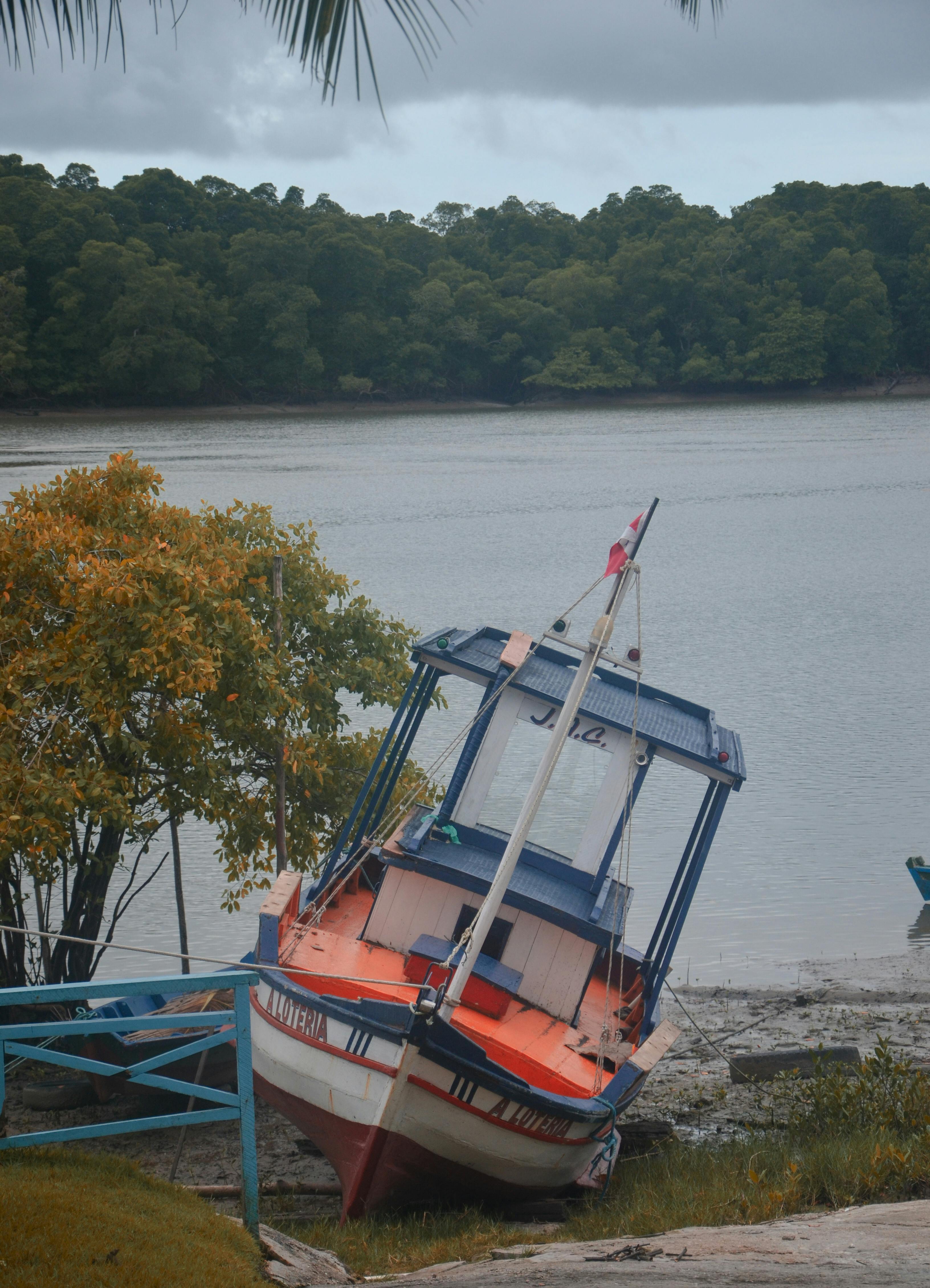 Beached As Bro Photos, Download Free Beached As Bro Stock Photos & HD ...