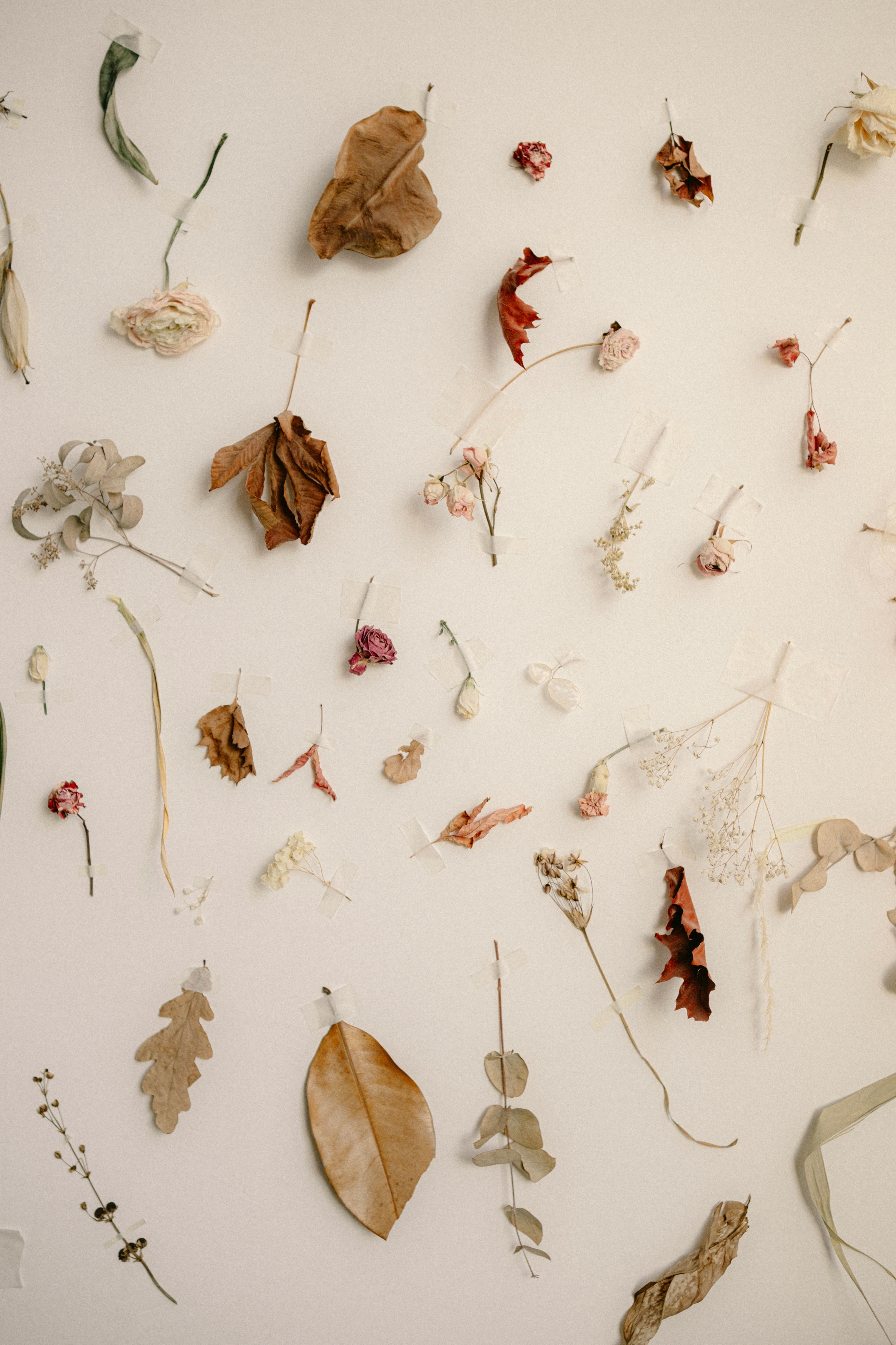 Aesthetic Wall Photos, Download The BEST Free Aesthetic Wall Stock ...