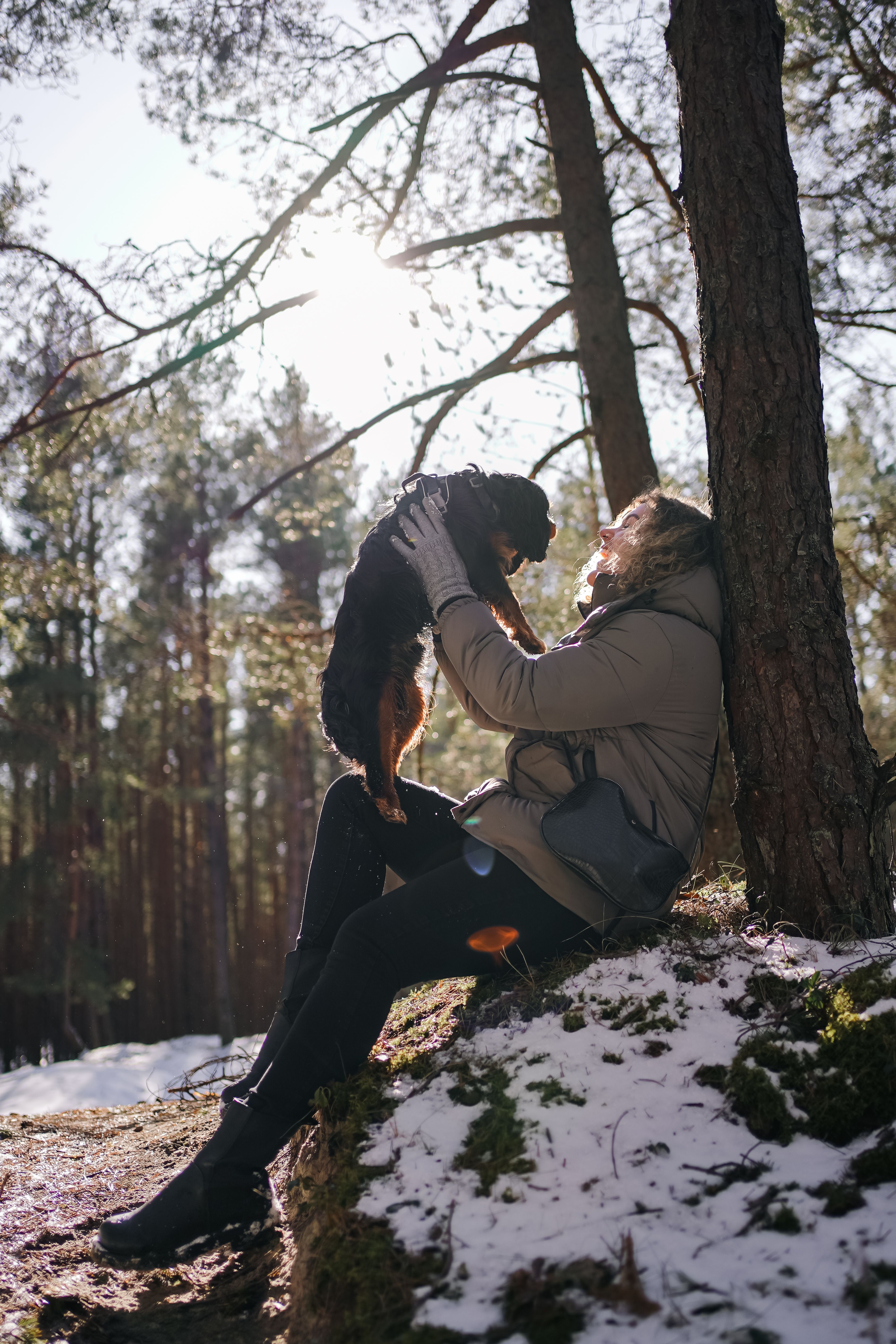 Riga Forest Photos, Download The BEST Free Riga Forest Stock Photos ...