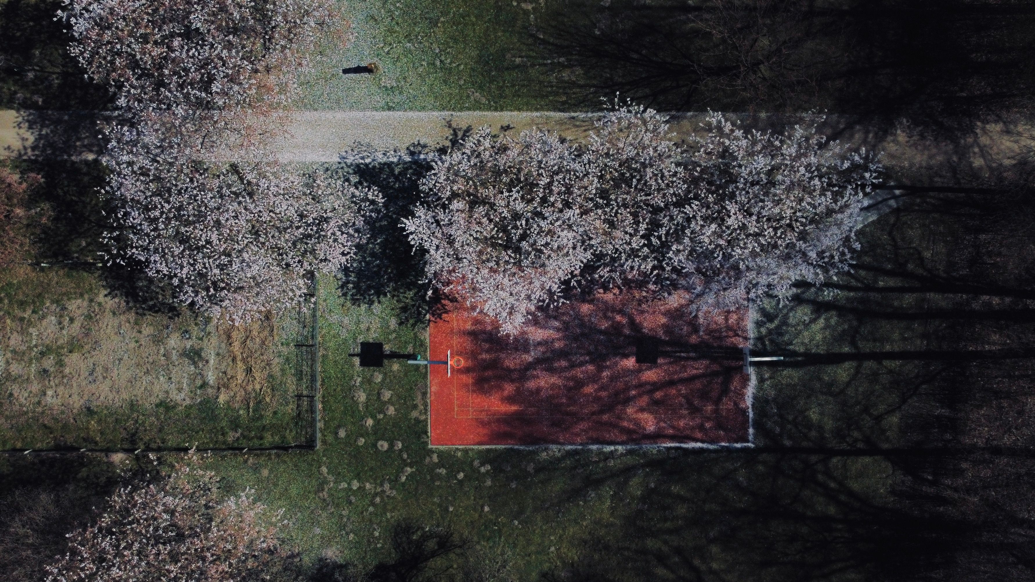 Aerial View of a Basketball Court · Free Stock Photo