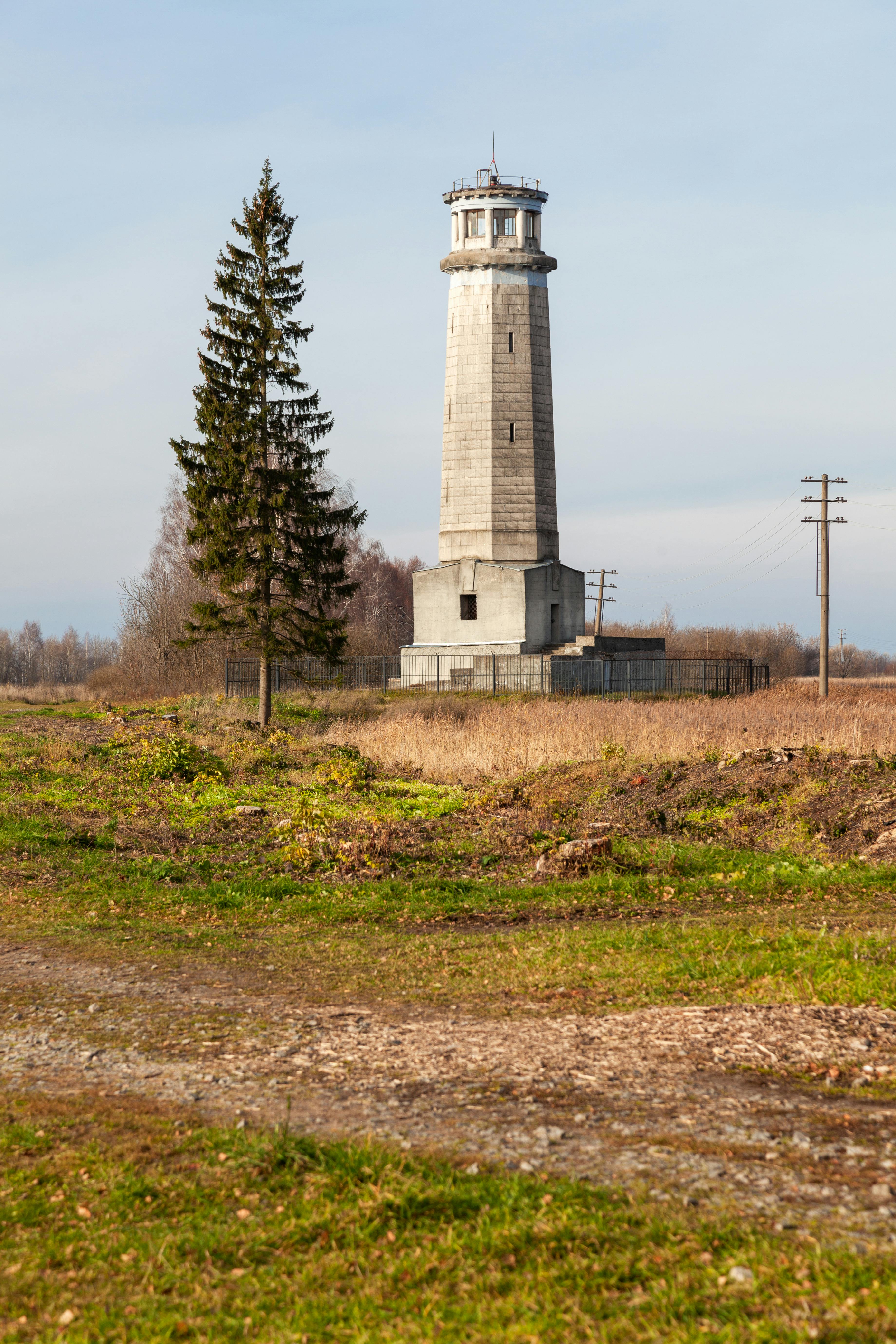 A Gray Lighthouse Beside Conifer Tree · Free Stock Photo