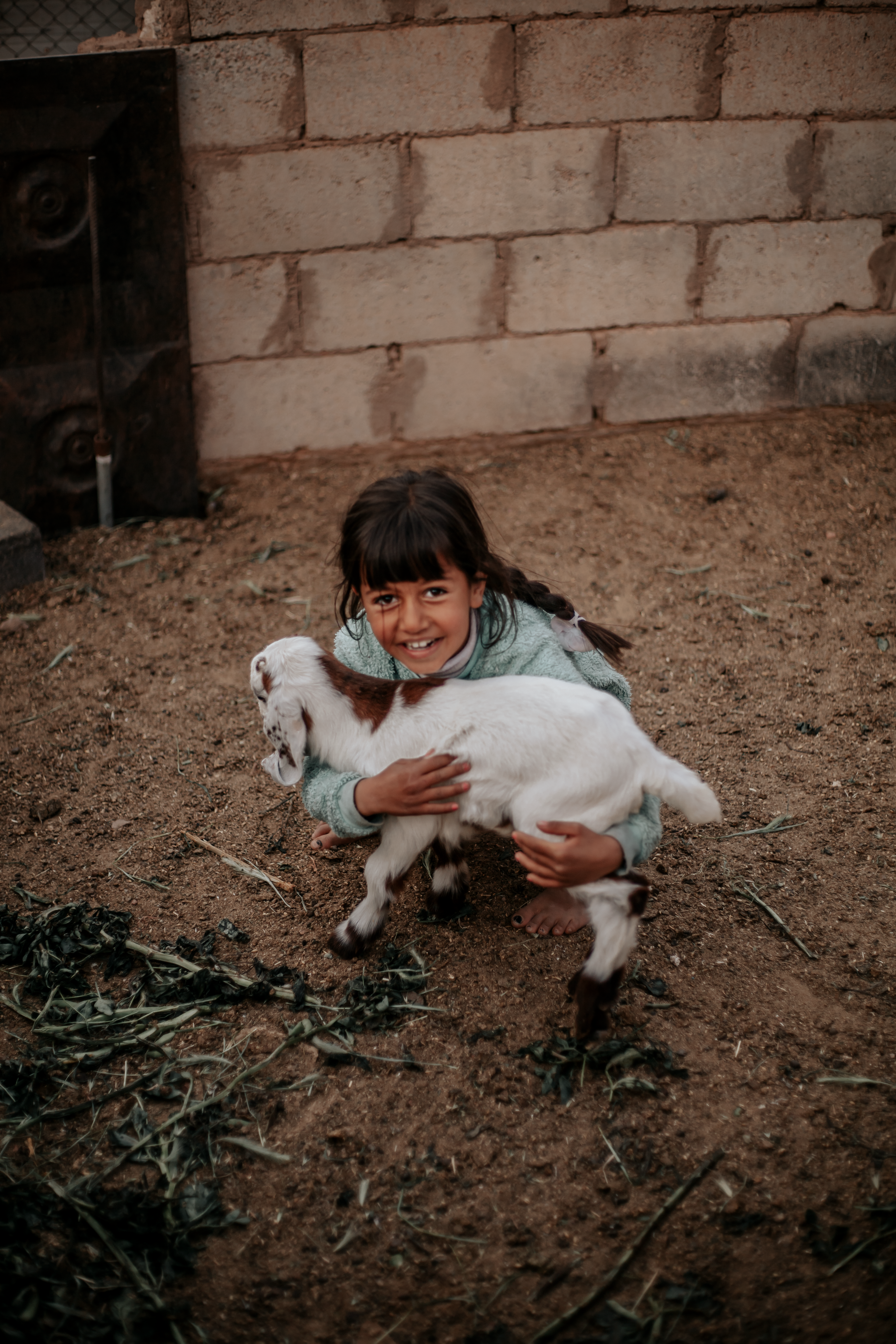 A Girl Hugging a Lamb · Free Stock Photo
