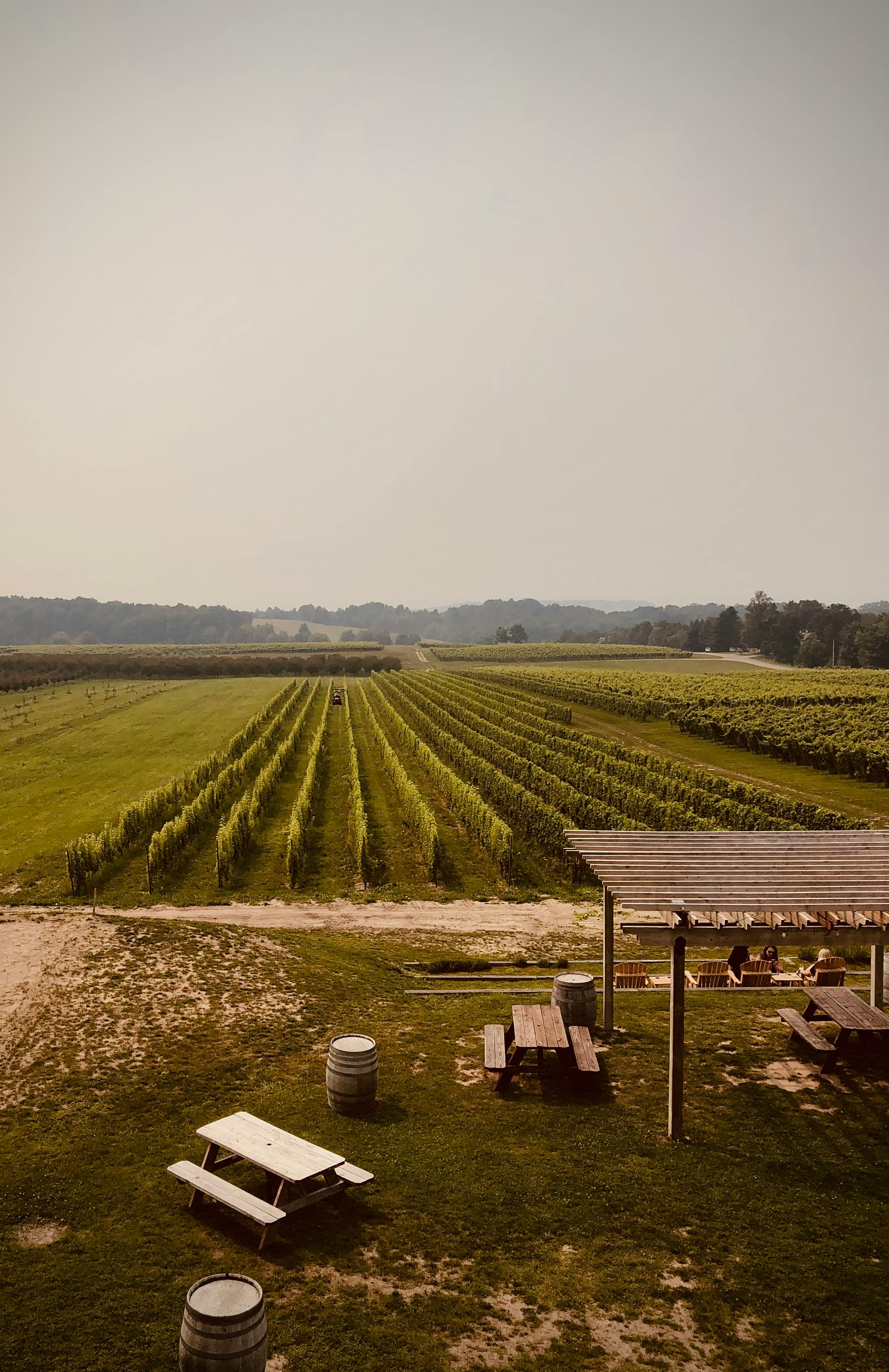 Aerial View of a Cropland · Free Stock Photo