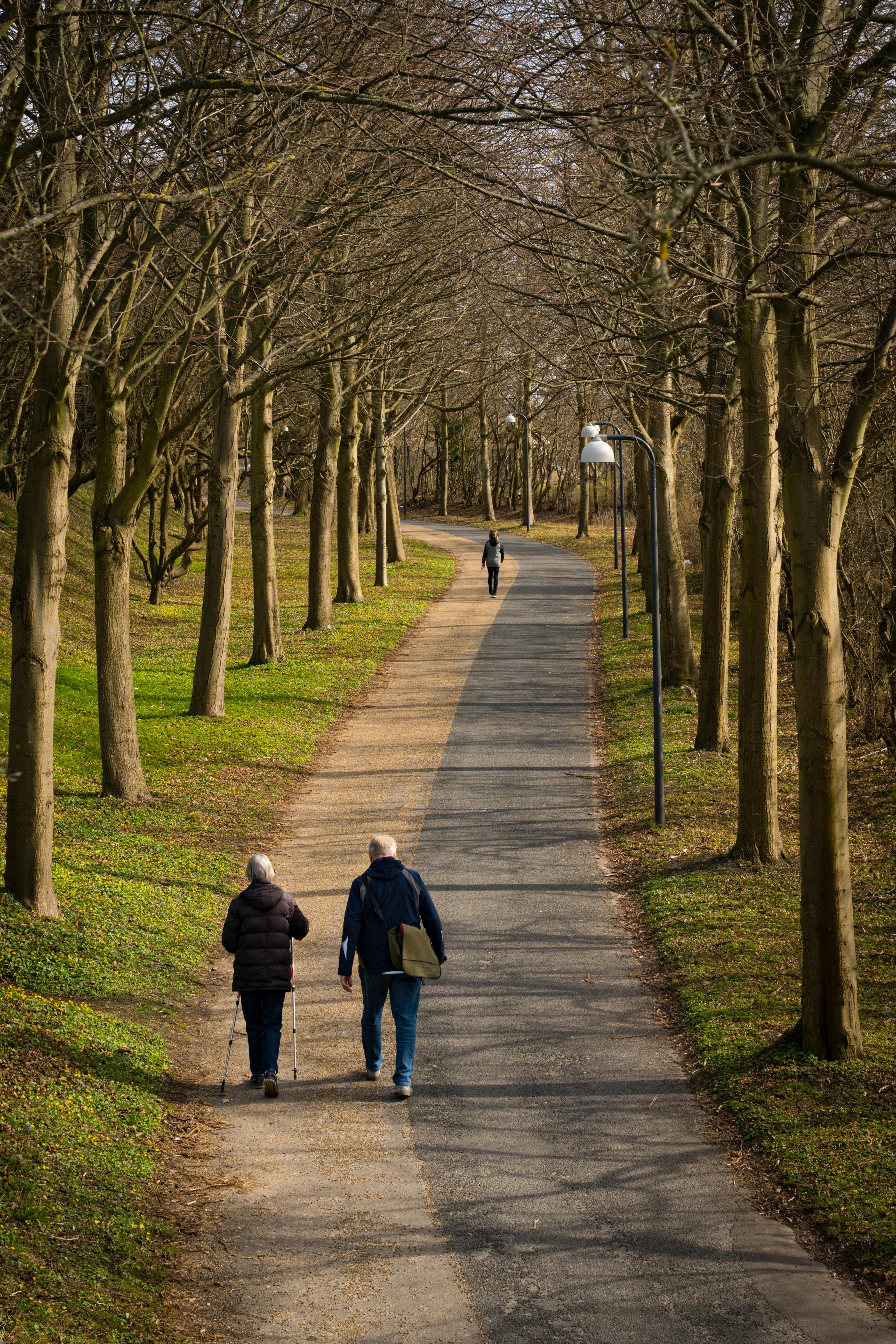 People Walking on Sidewalk · Free Stock Photo