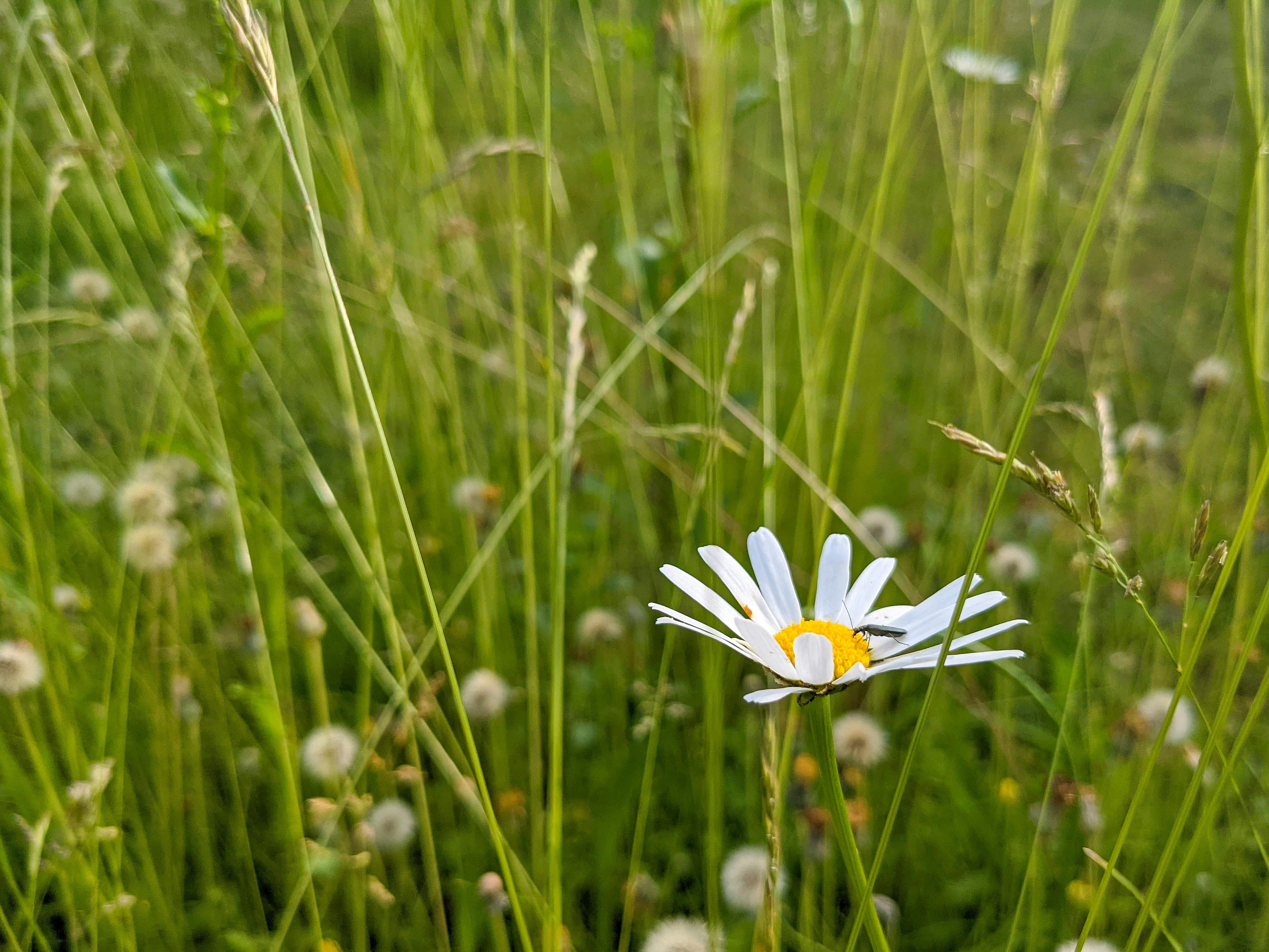 Marc Linder - 사진