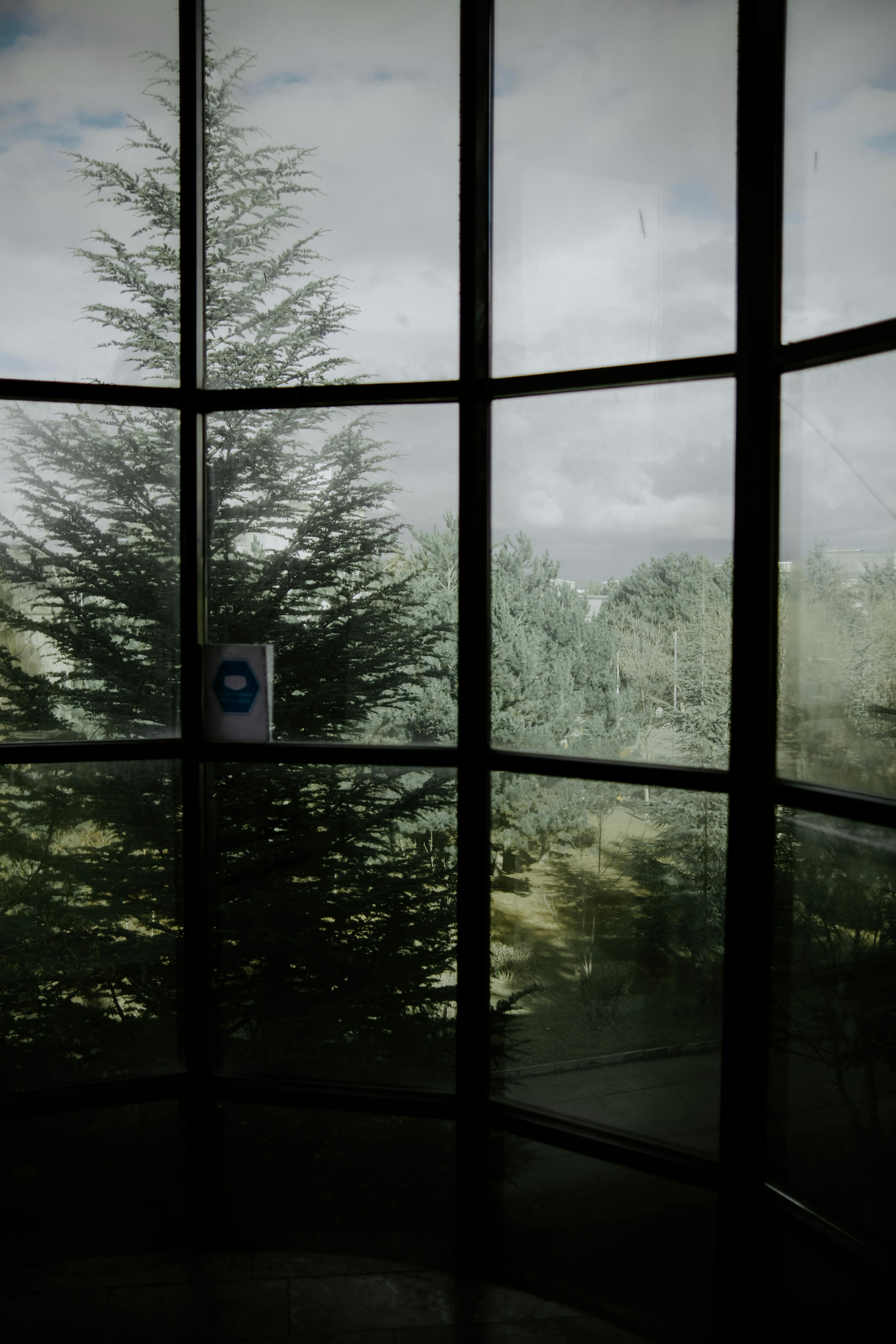 Window with View at Foggy Forest · Free Stock Photo