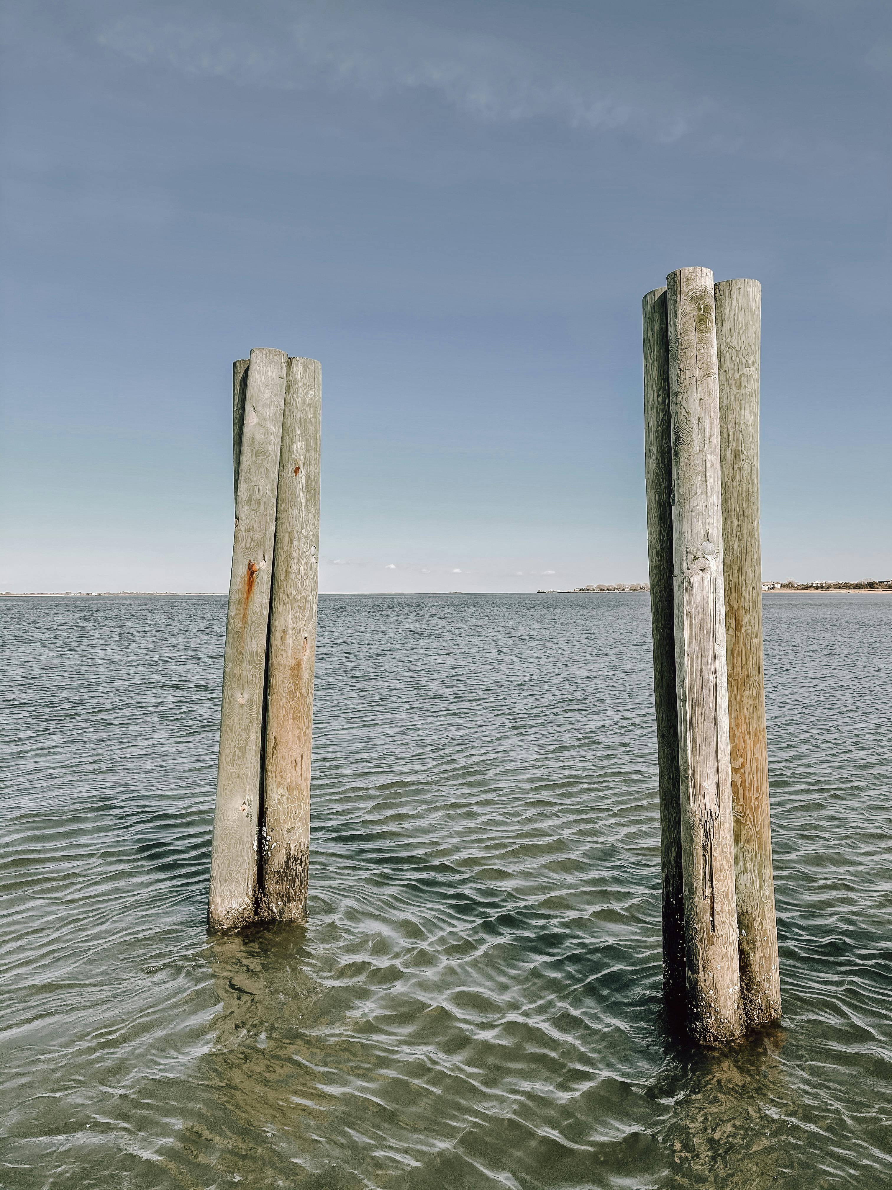 Timber Pilings Photos, Download The BEST Free Timber Pilings Stock ...