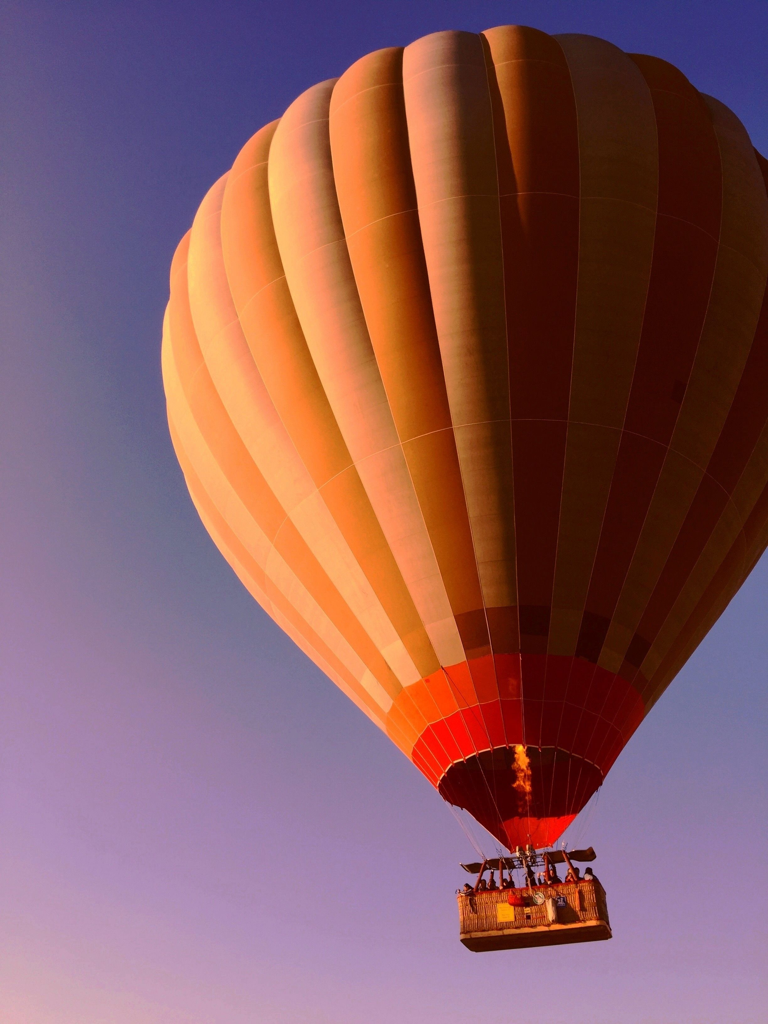 Anatomy Of A Balloon Photos, Download The BEST Free Anatomy Of A ...