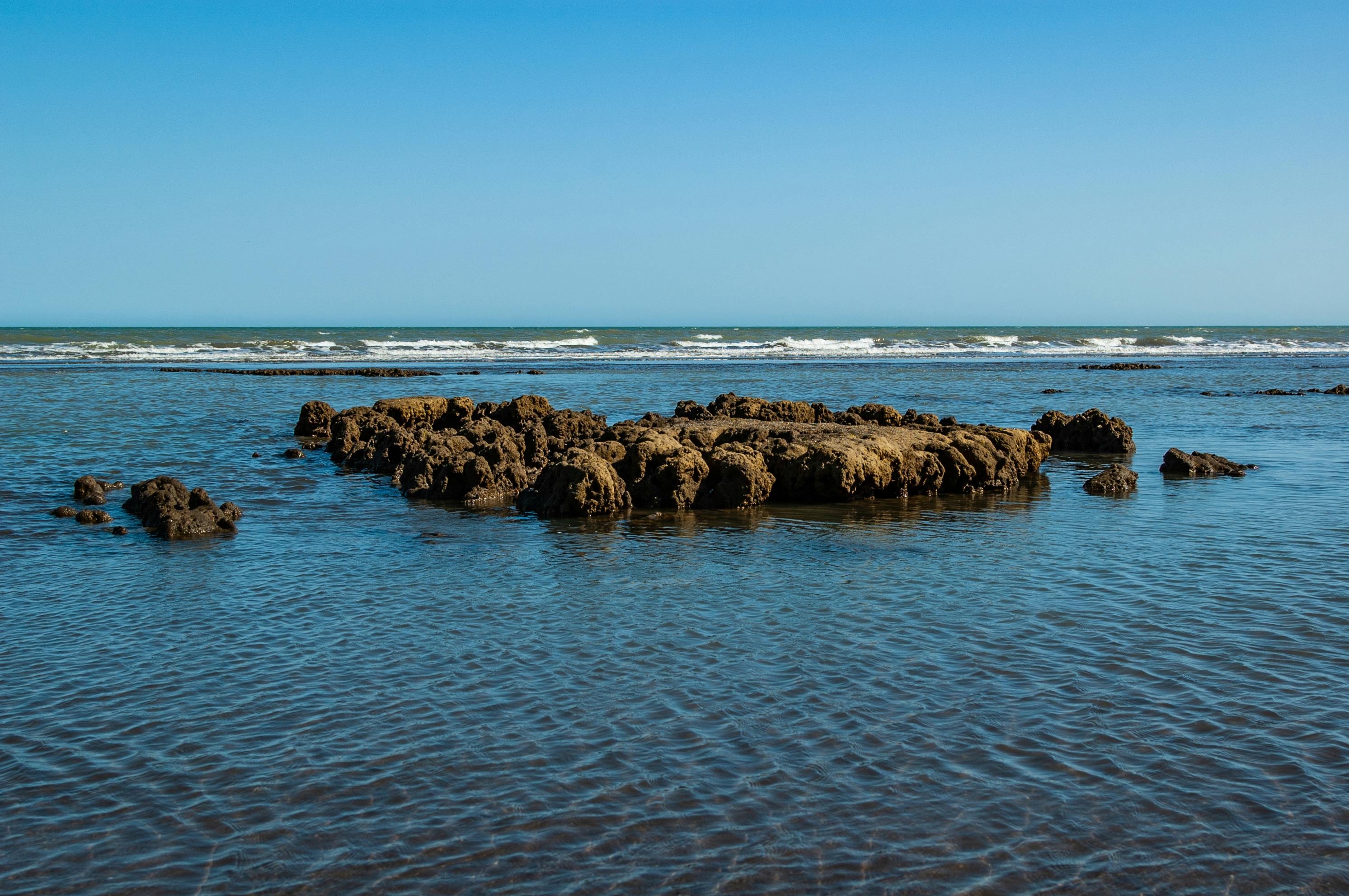 Rocks in Sea Water · Free Stock Photo