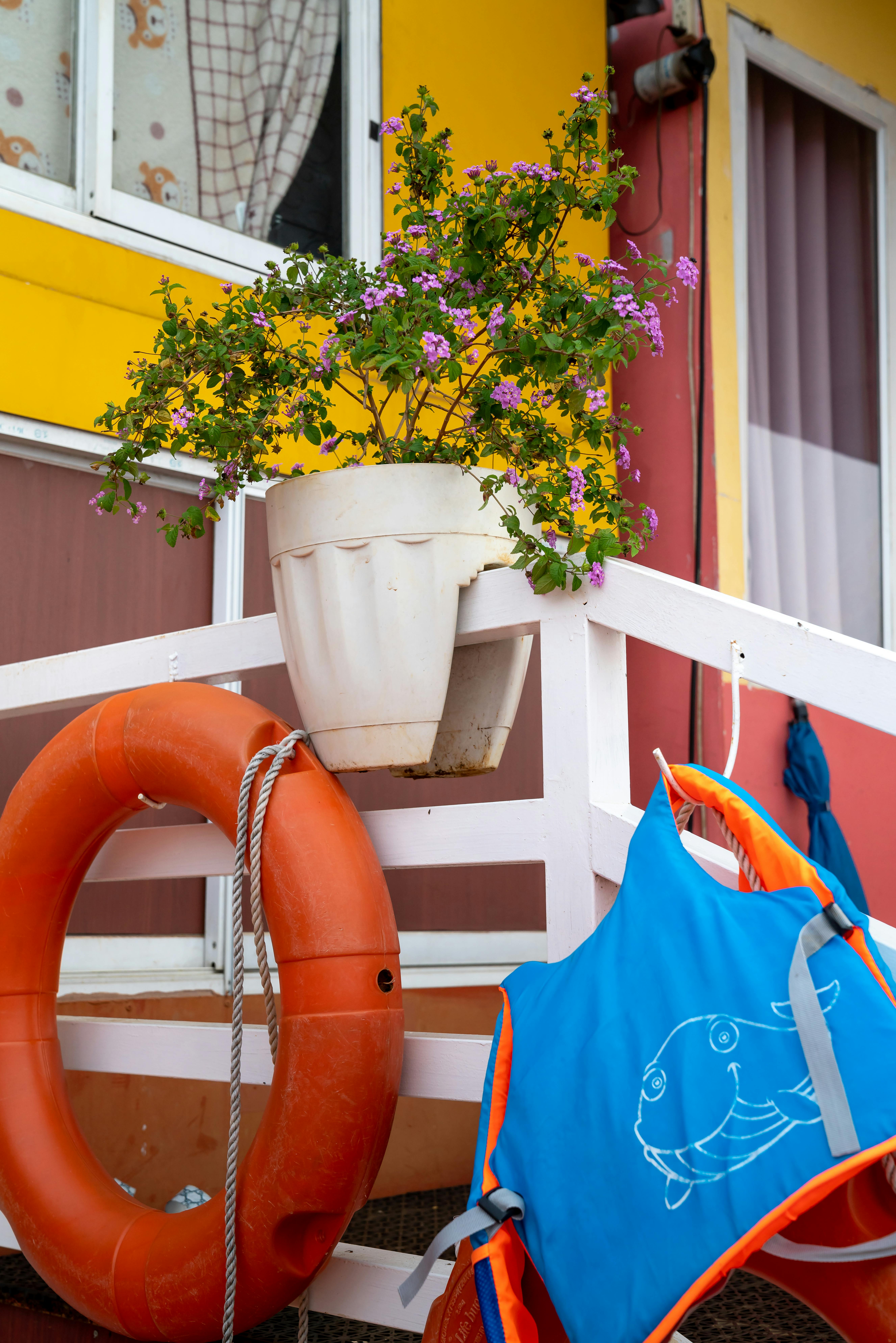 Lifeline Photos, Download The BEST Free Lifeline Stock Photos & HD Images