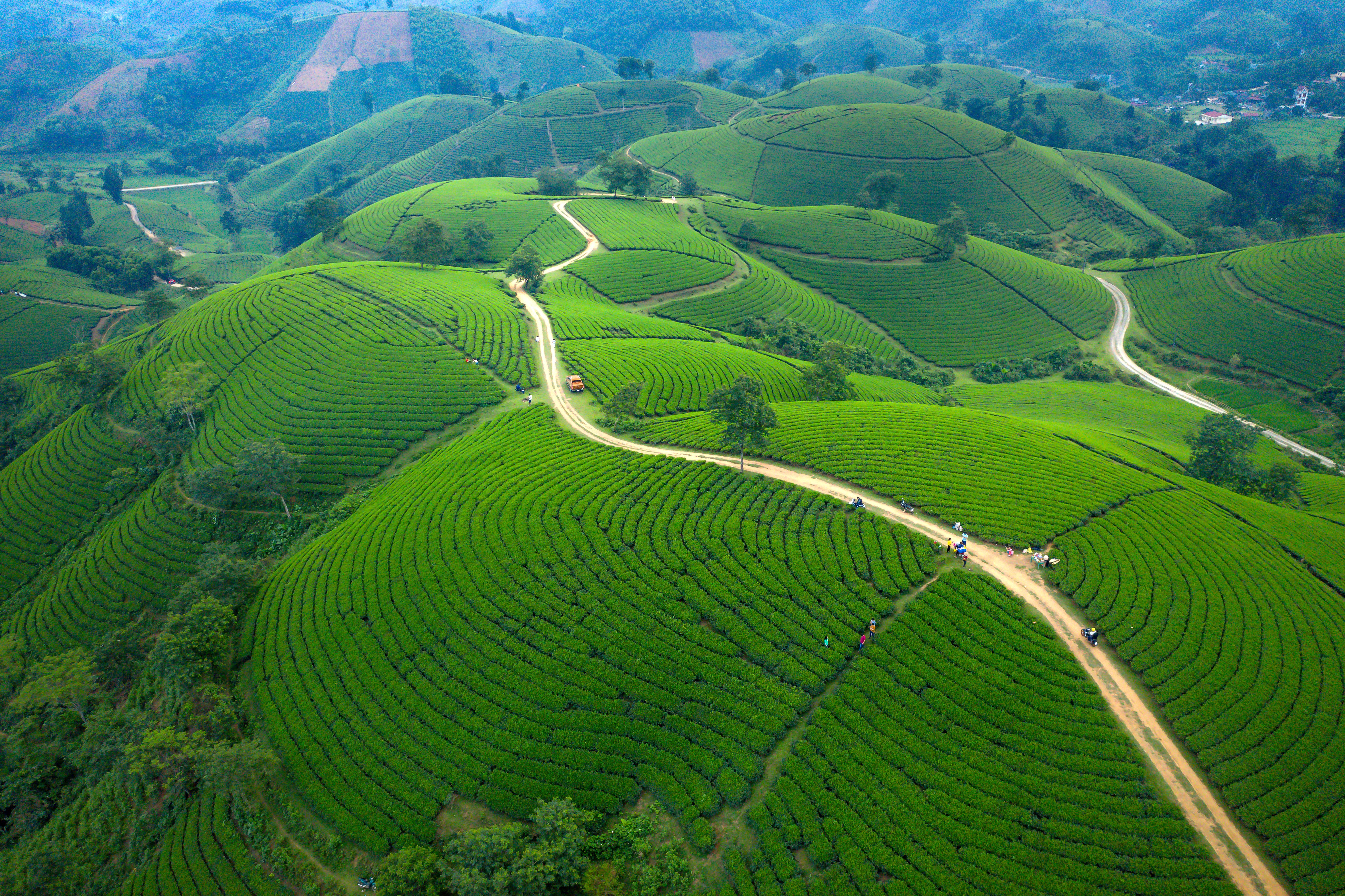 Road among Terraced Fields · Free Stock Photo
