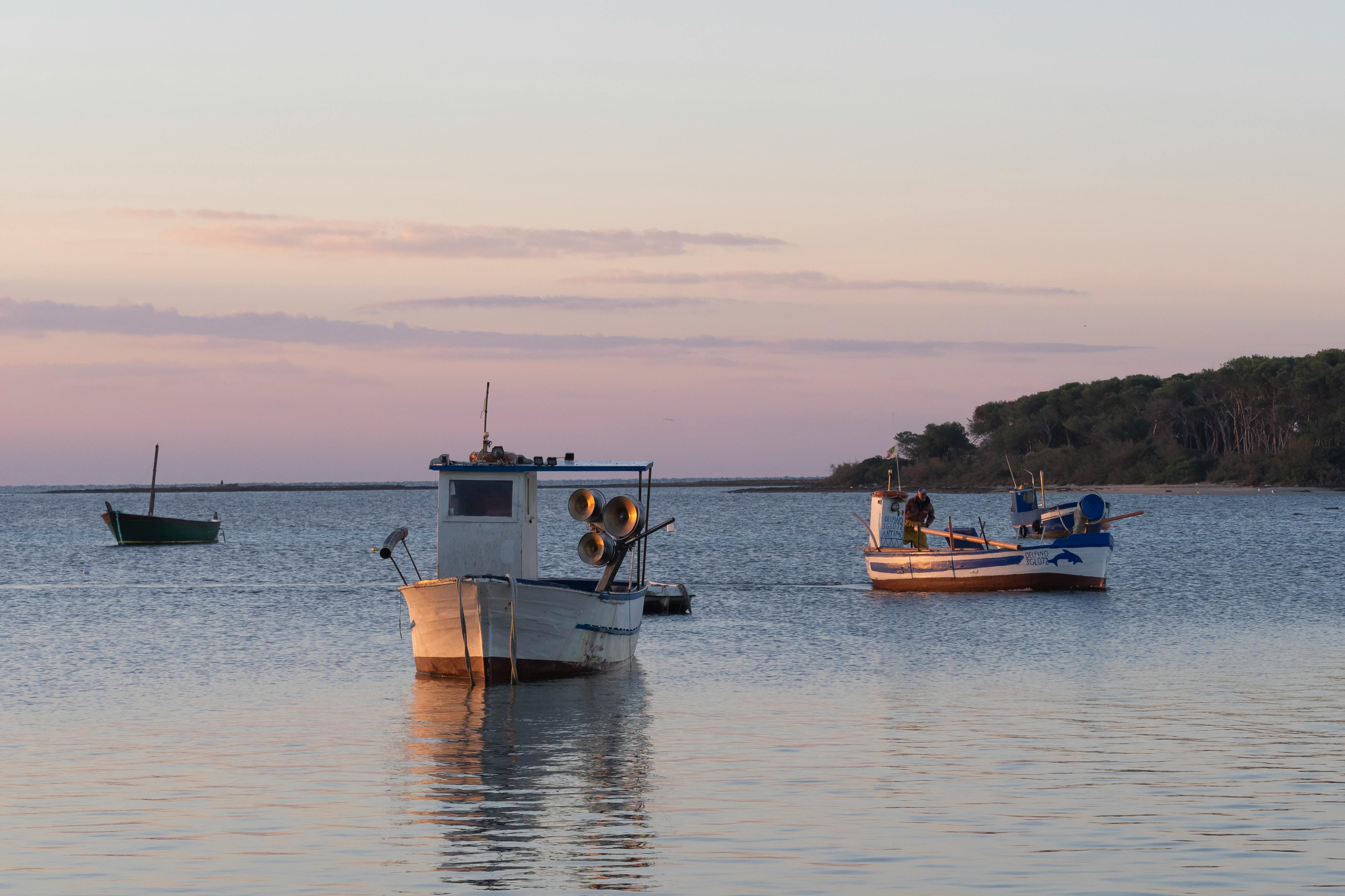 Boats on Body of Water · Free Stock Photo