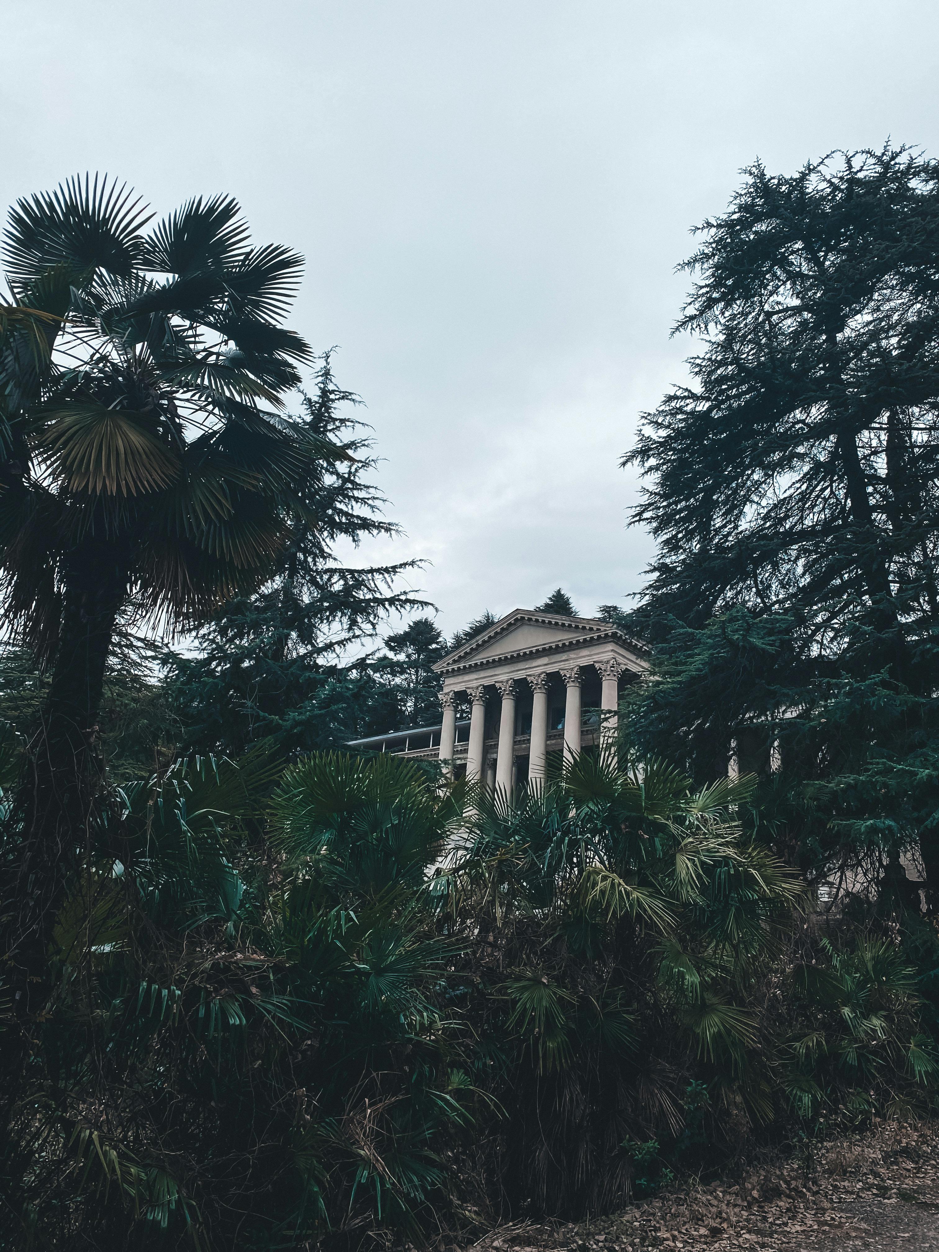 Nature Low Opacity Photos, Download Free Nature Low Opacity Stock ...