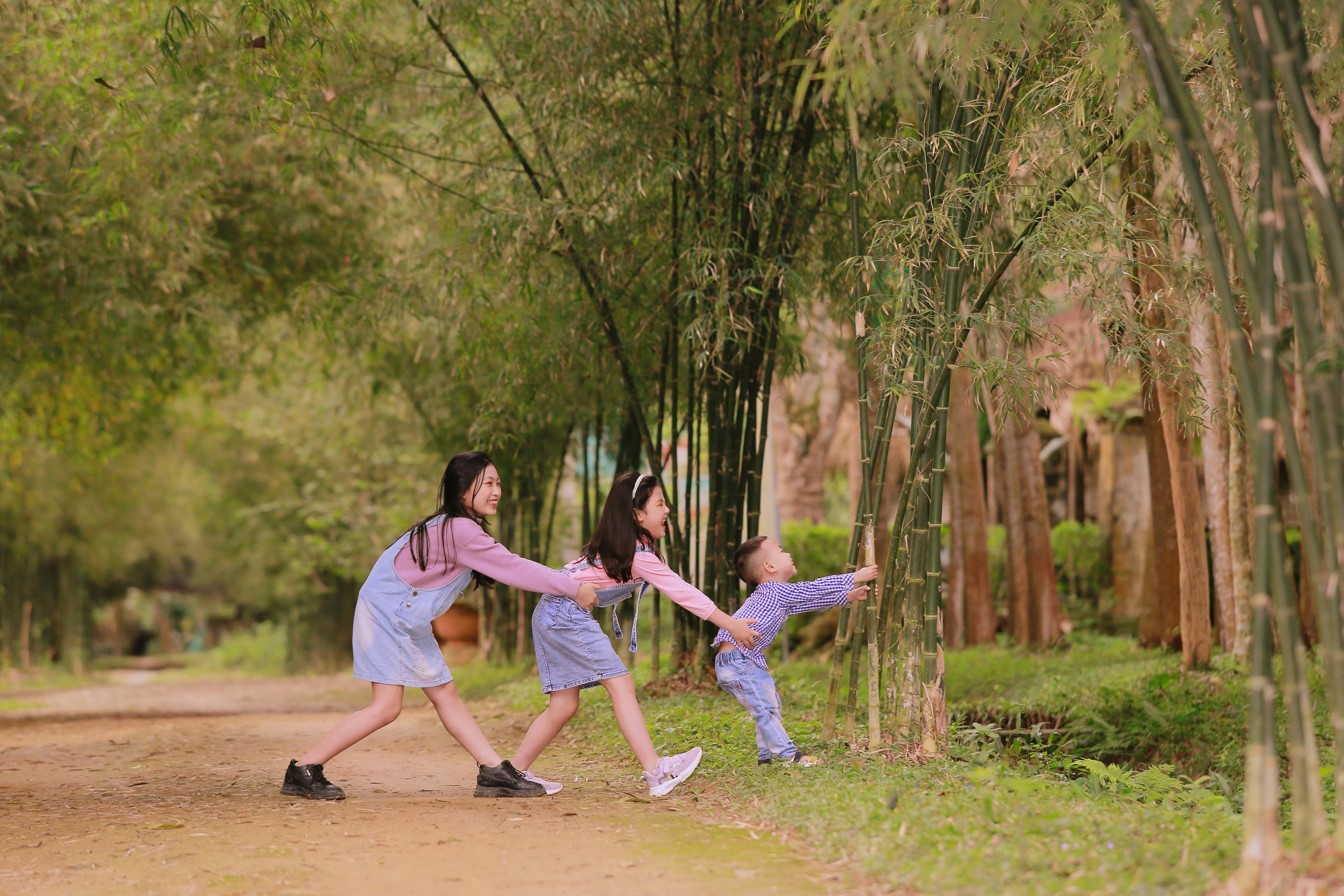 Kids Playing Near the Trees During Sunset · Free Stock Photo