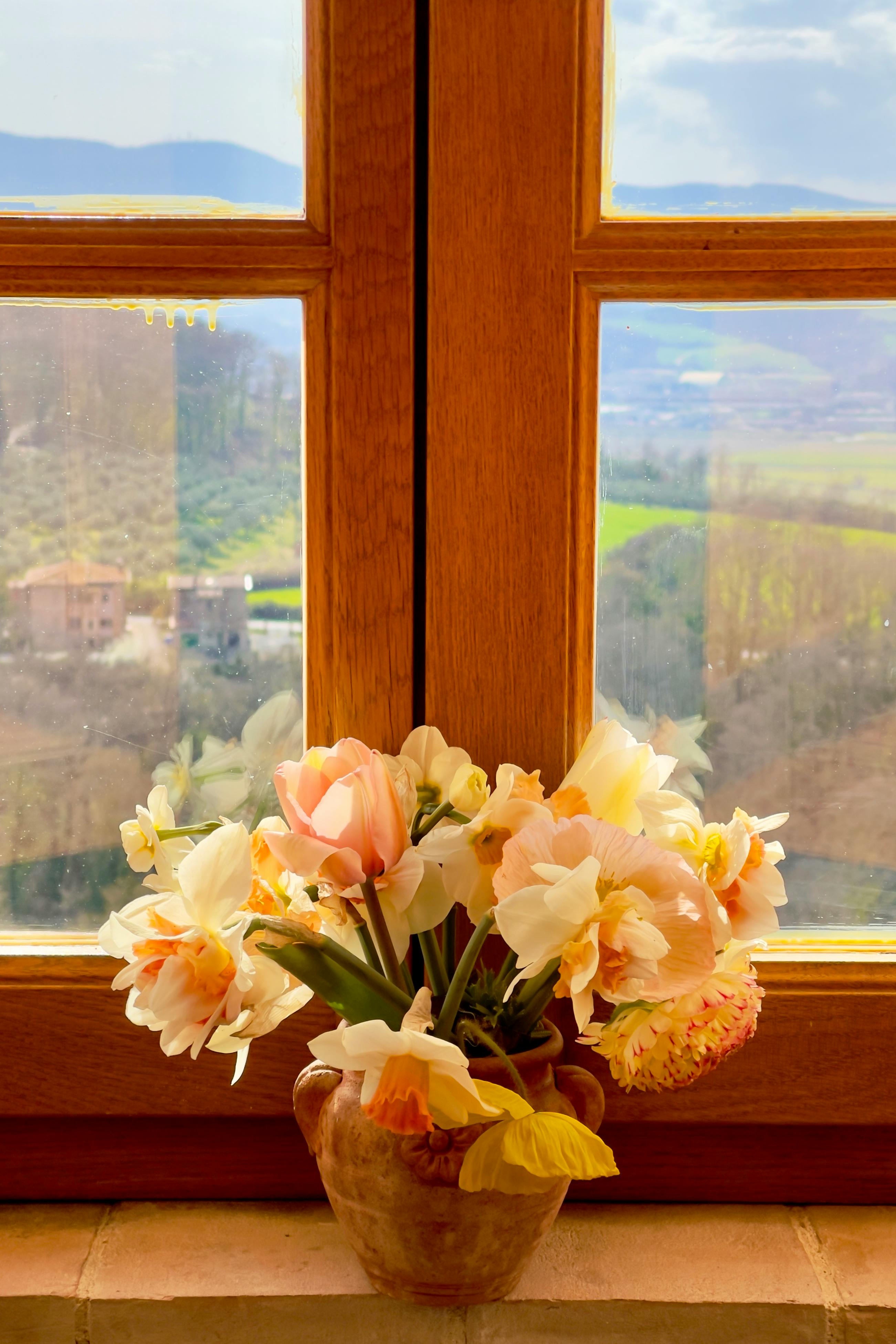 Yellow Flowers on Window Sill · Free Stock Photo