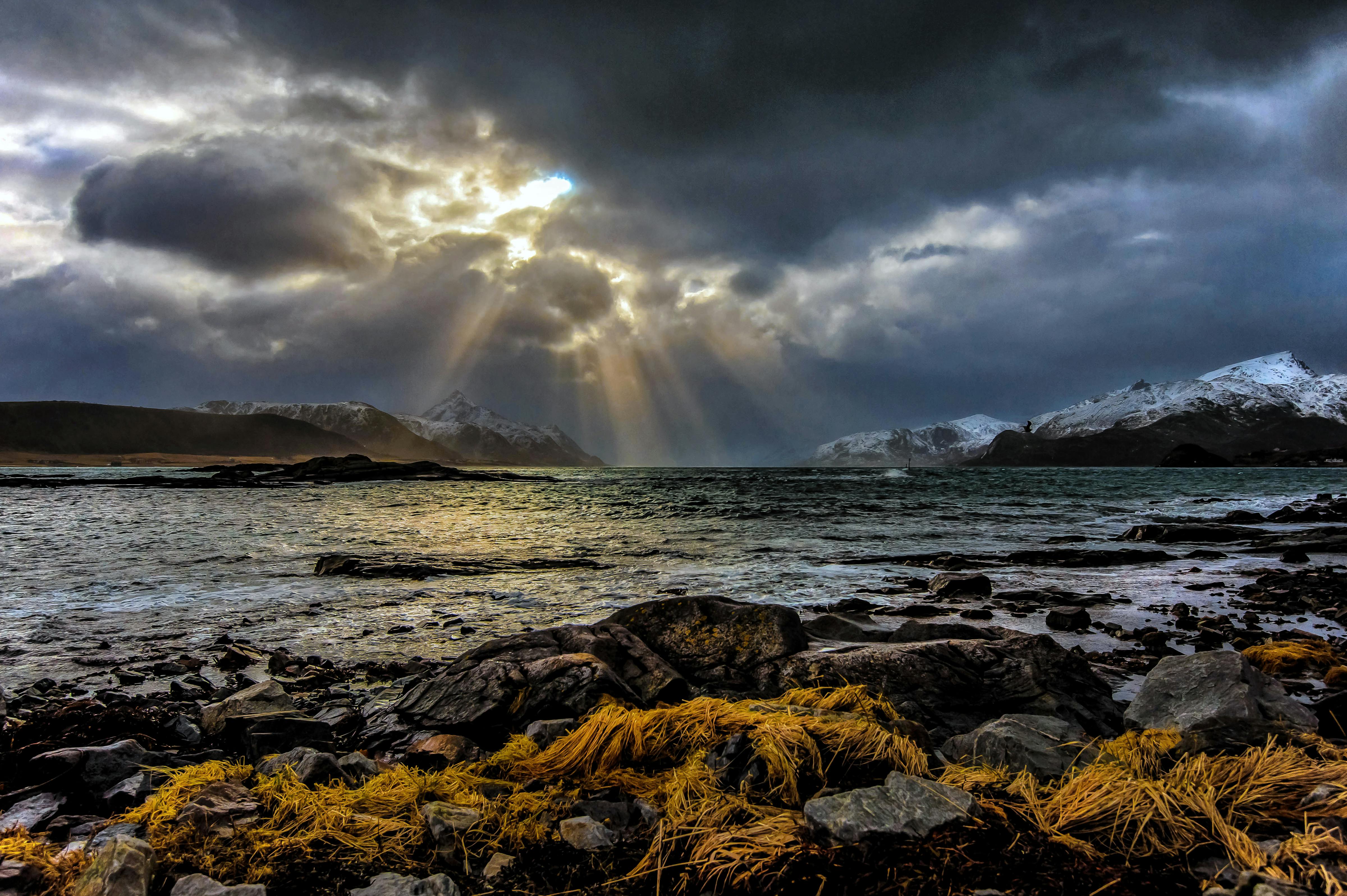 Beautiful Sunbeams in the Sky · Free Stock Photo