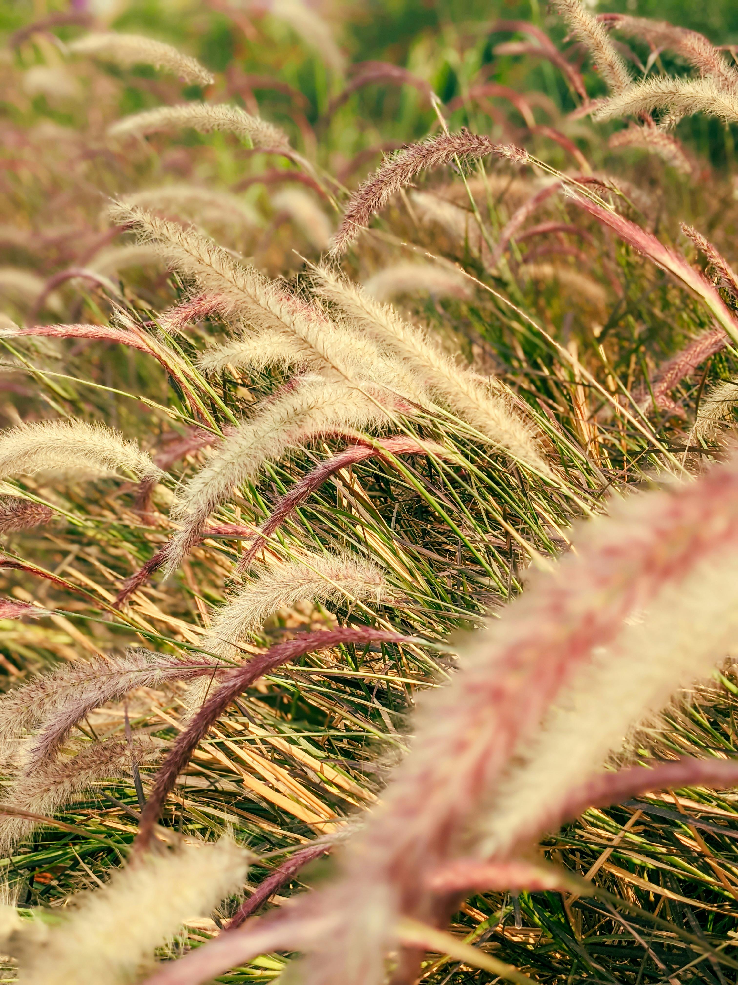 100+ Best Pixel Photos · 100% Free Download · Pexels Stock Photos