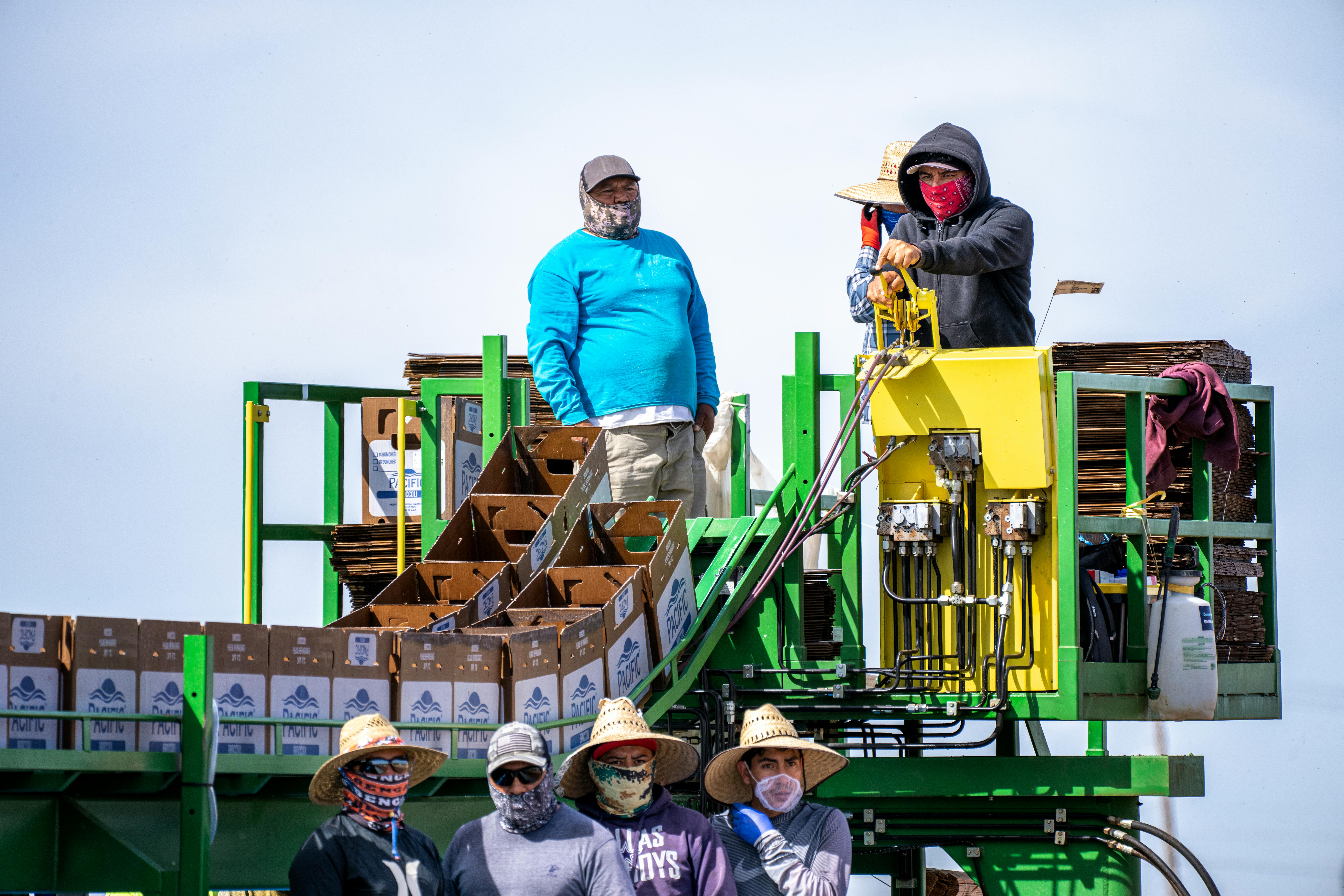 Men Working on Production Line · Free Stock Photo