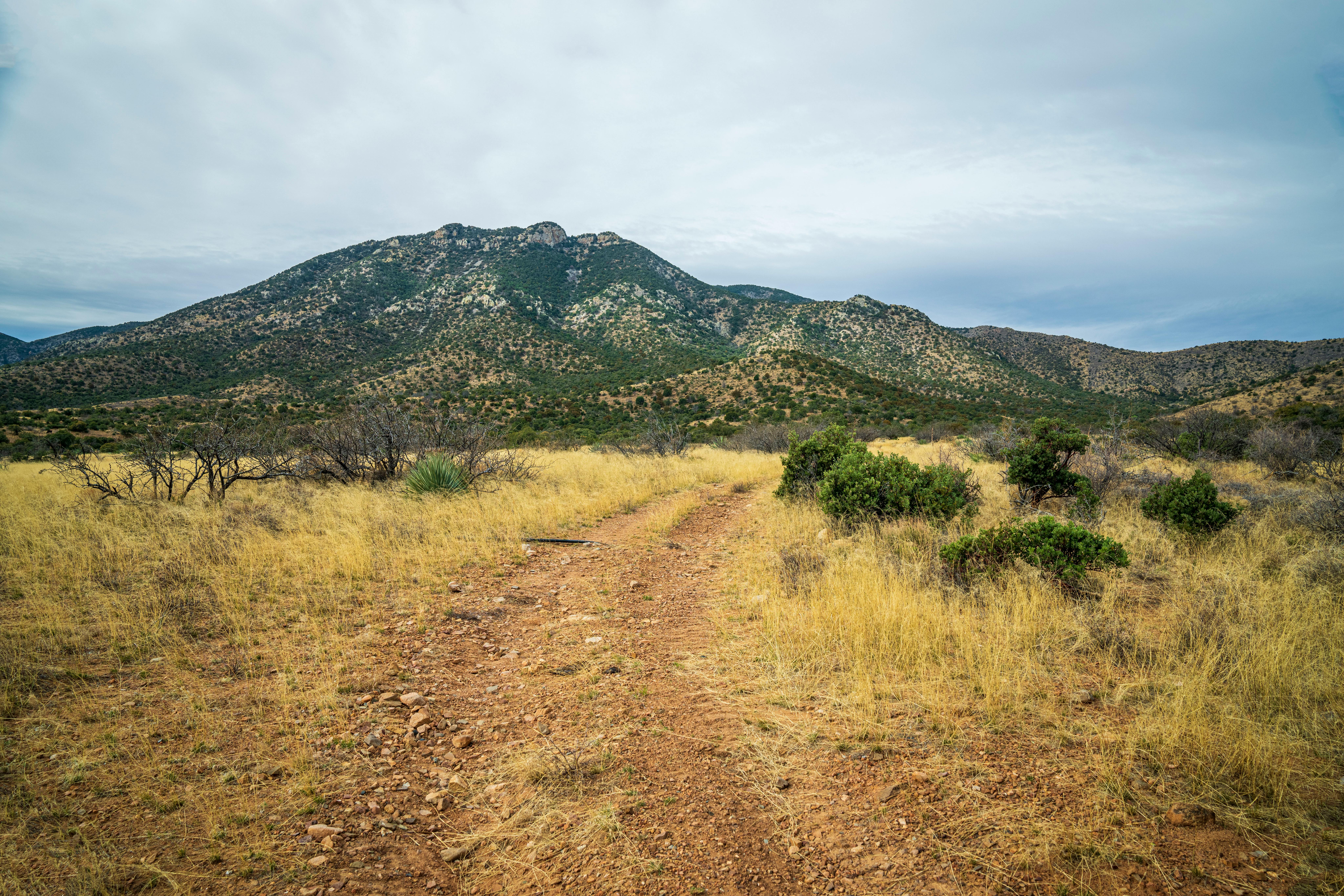 Unpaved Pathway to the Mountains · Free Stock Photo