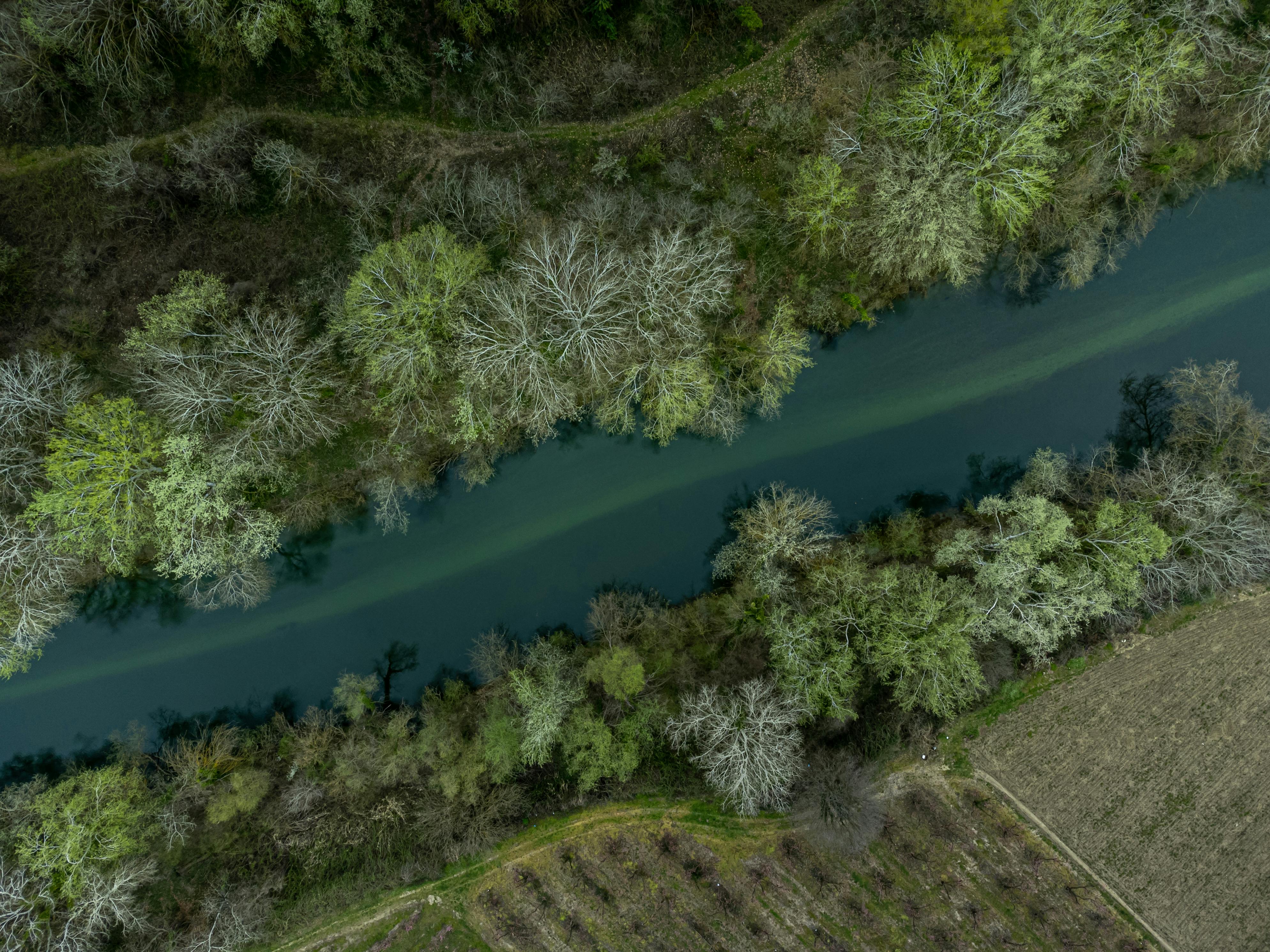 Aerial Photography of a River · Free Stock Photo