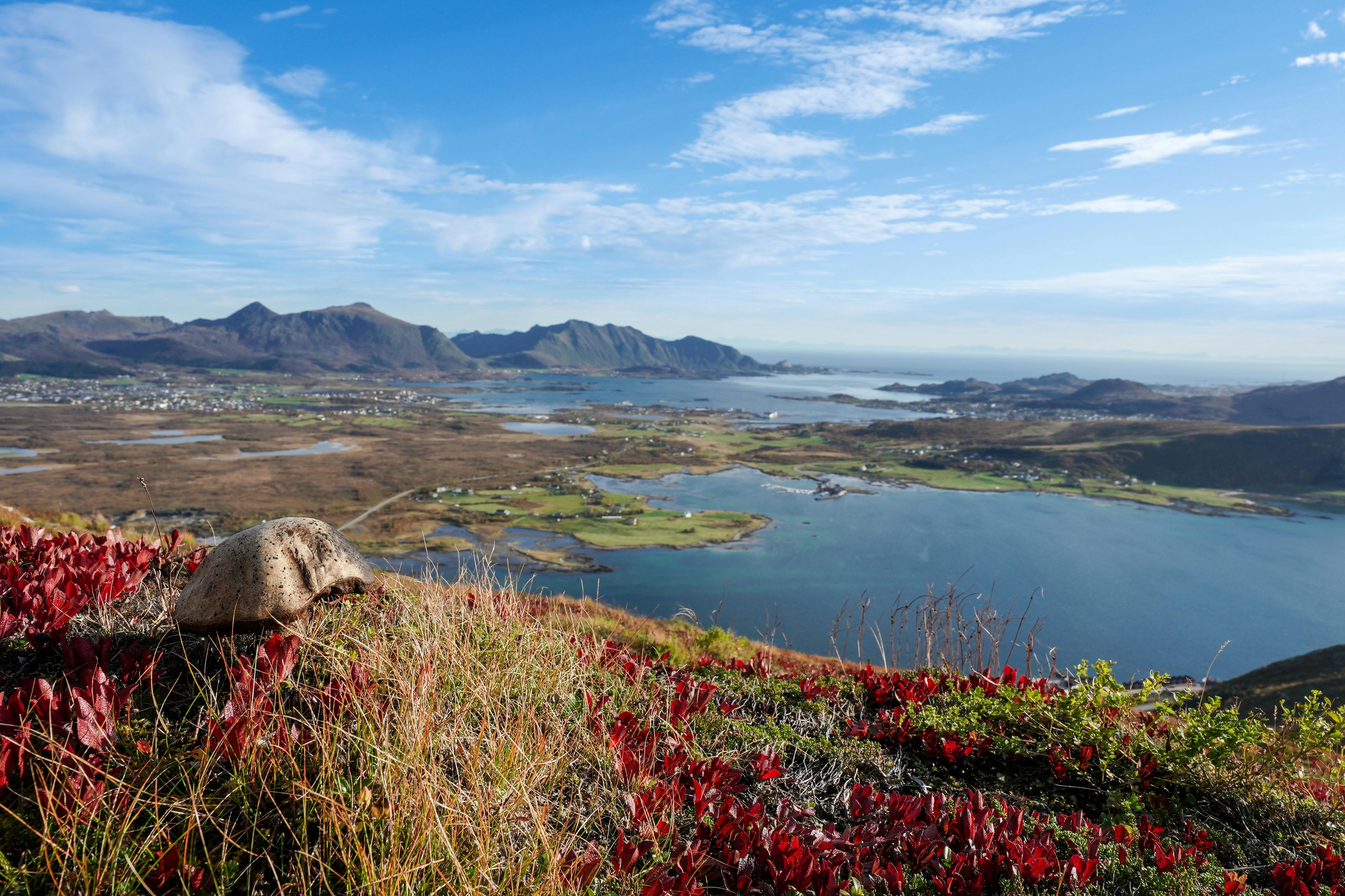 Scenic Landscape of a Seacoast · Free Stock Photo