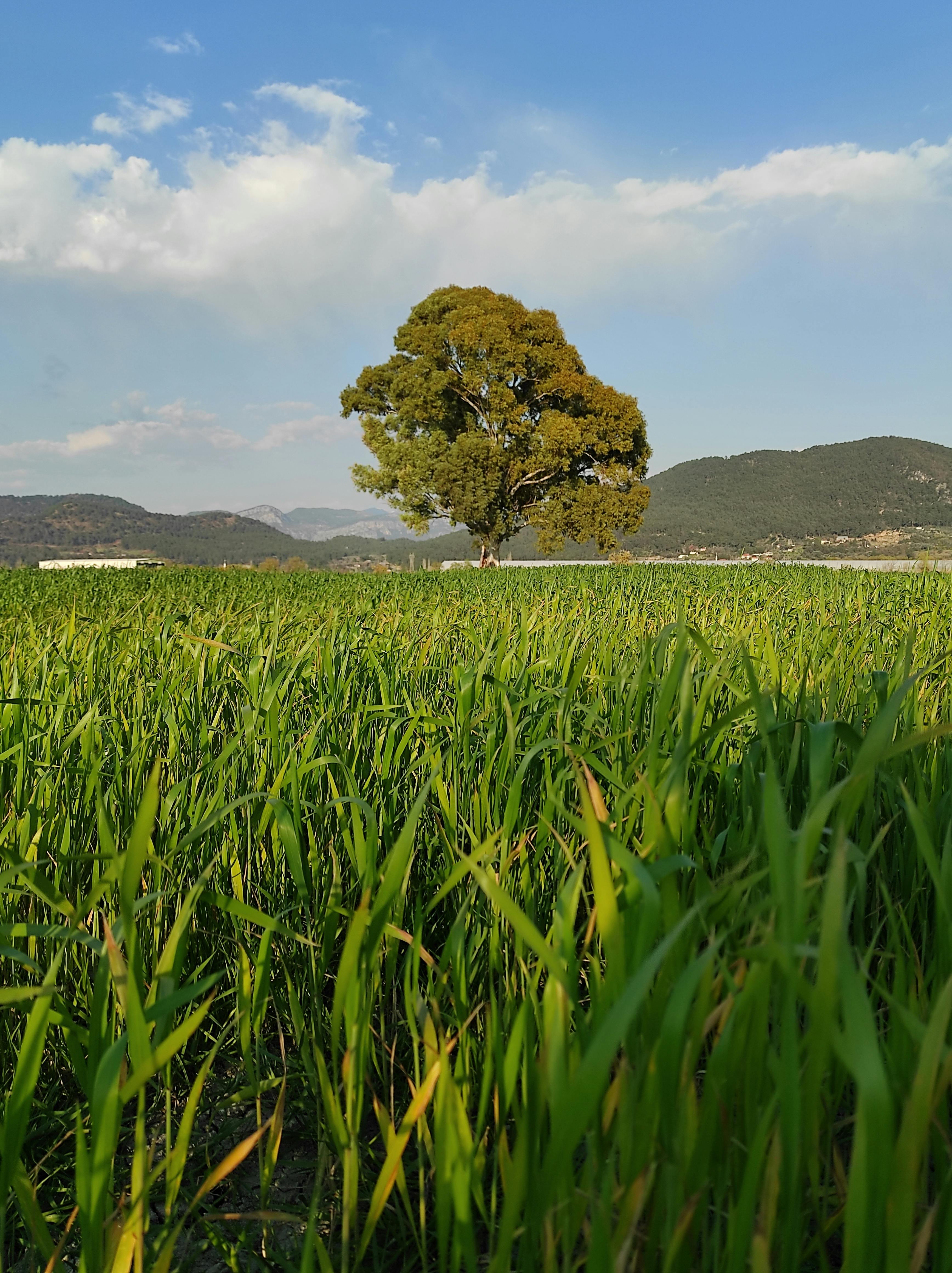 Gamze Ermen - 摄影