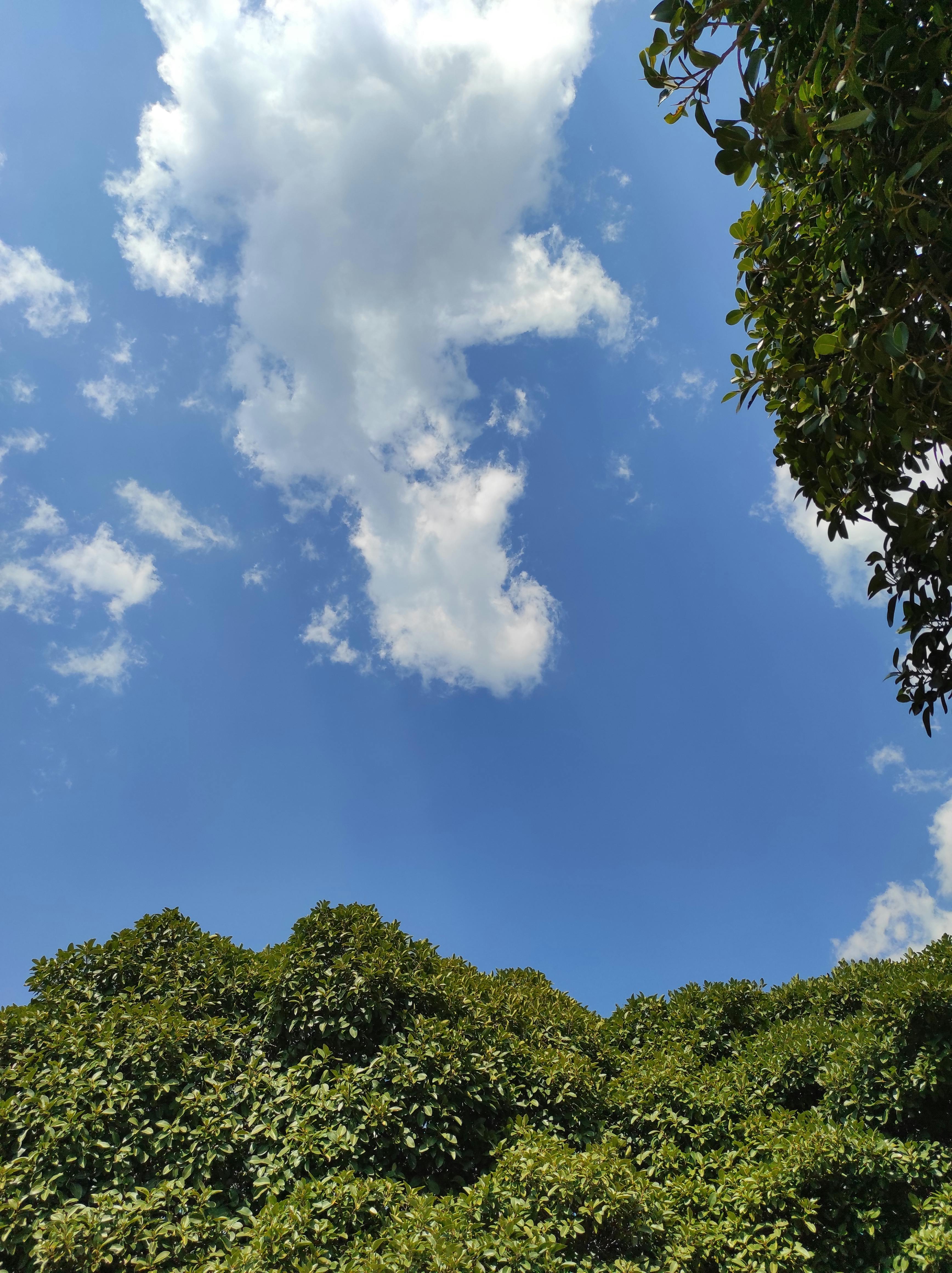 Gamze Ermen - 摄影