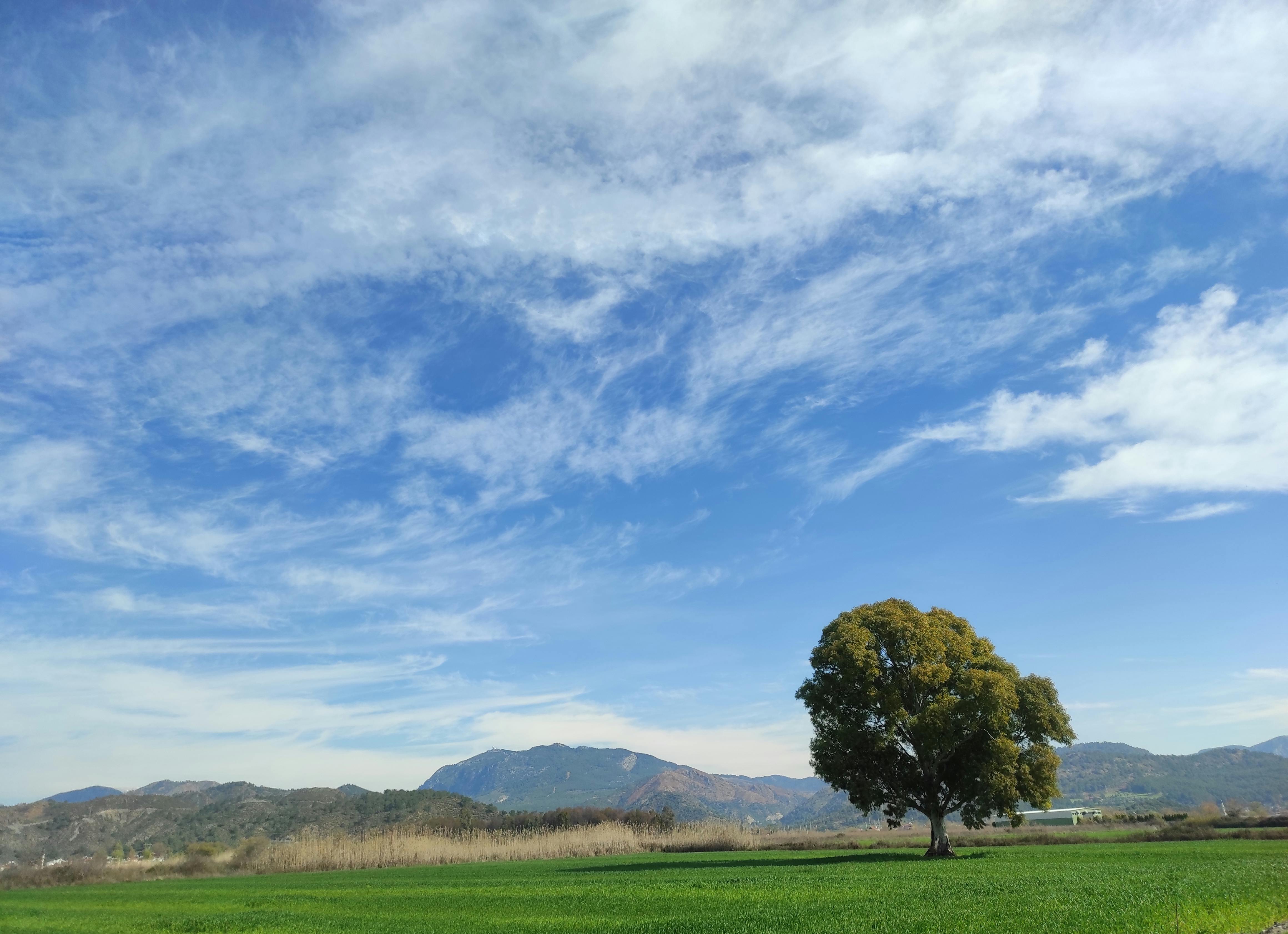 Gamze Ermen - 摄影