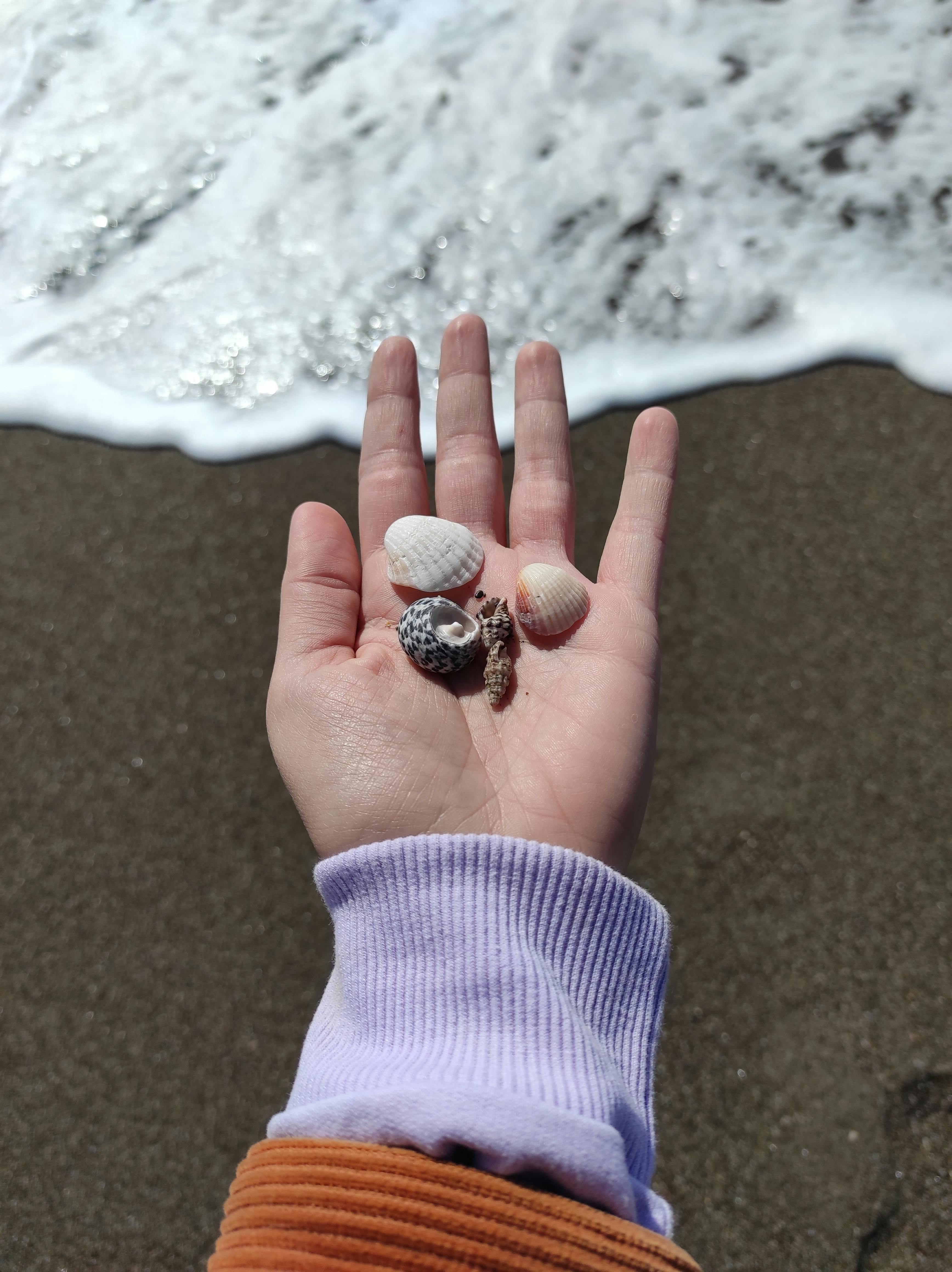 Gamze Ermen - Photography