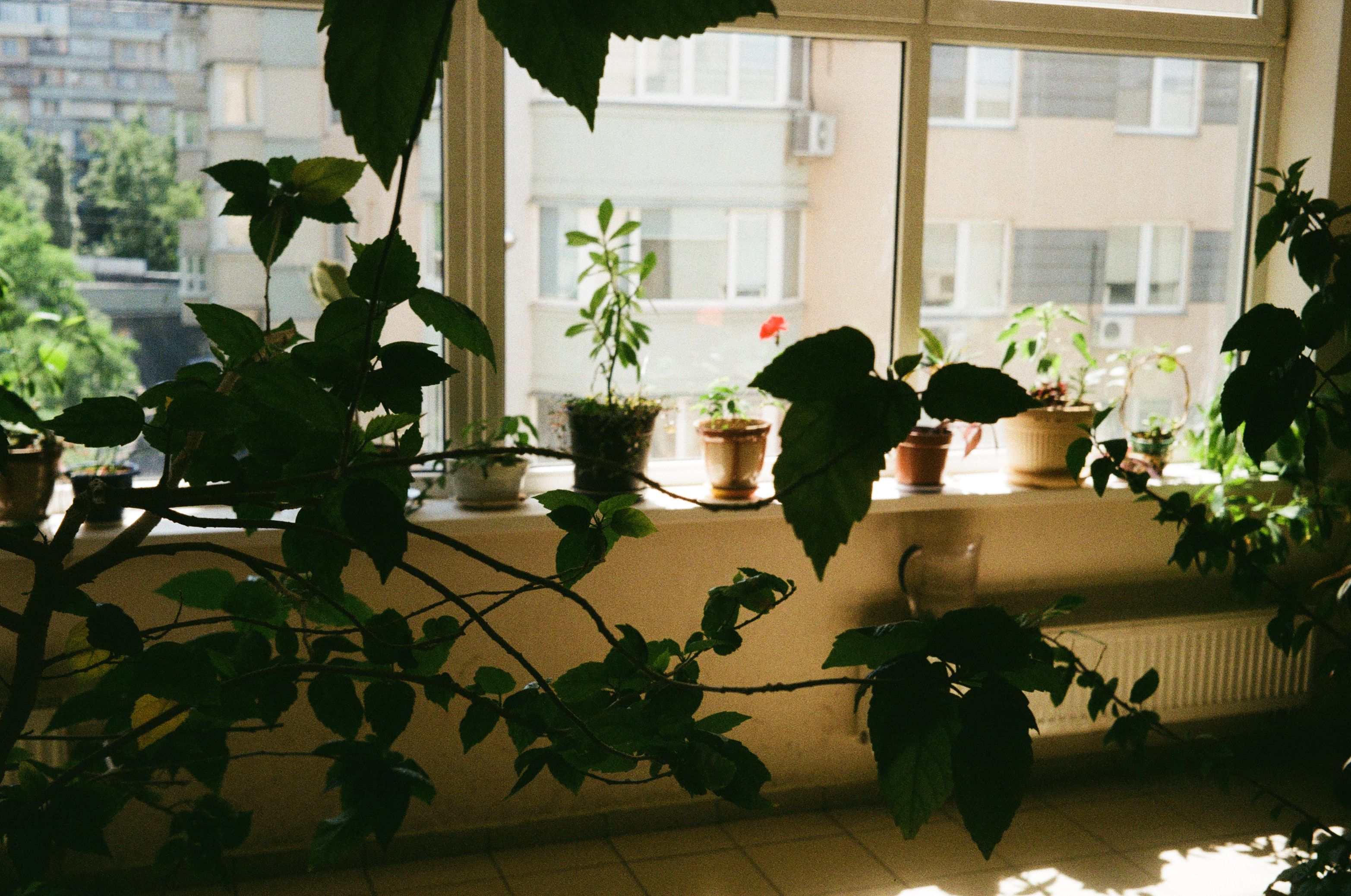 Books Near Window · Free Stock Photo