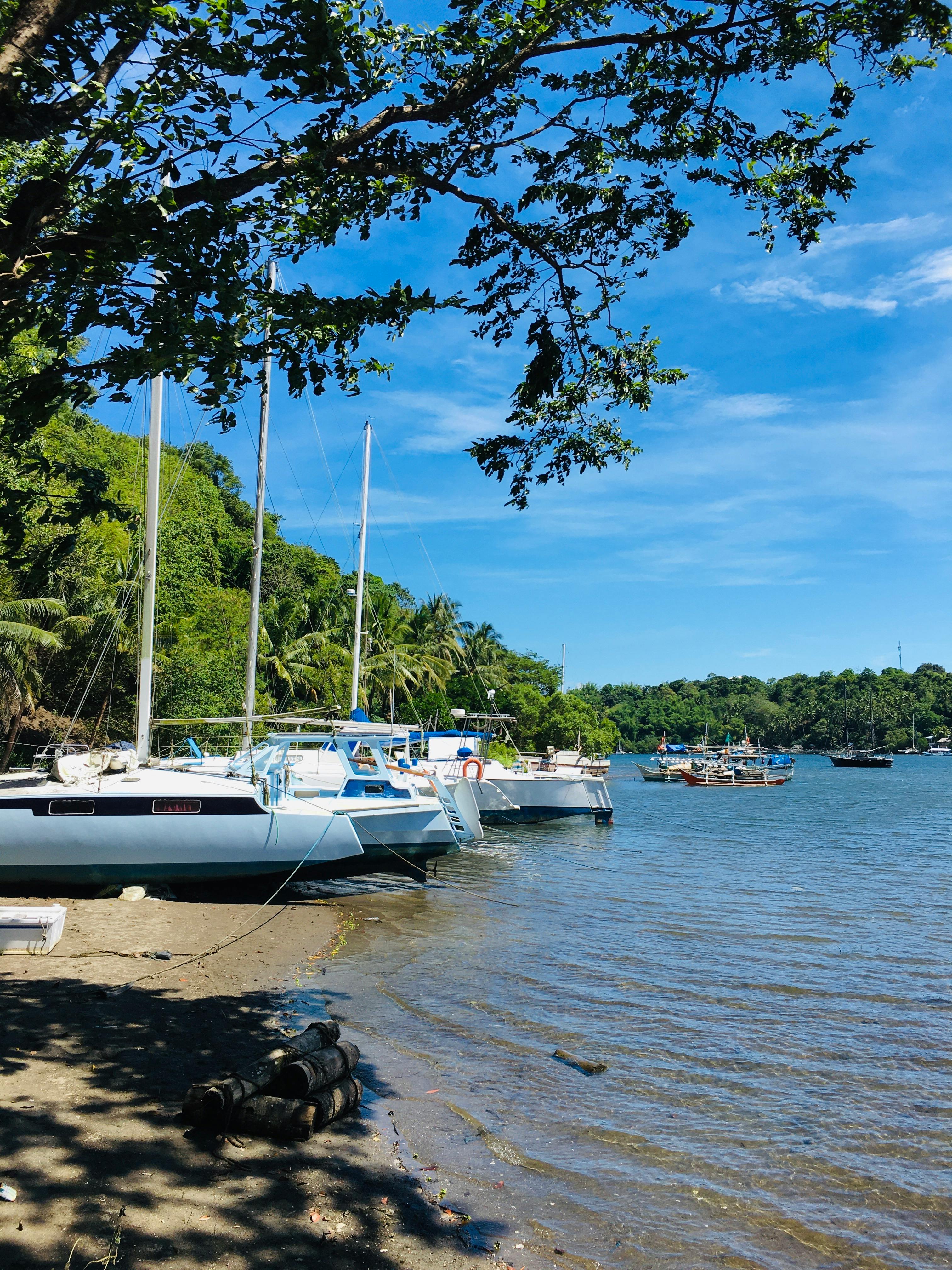 White Boats on the Shore · Free Stock Photo