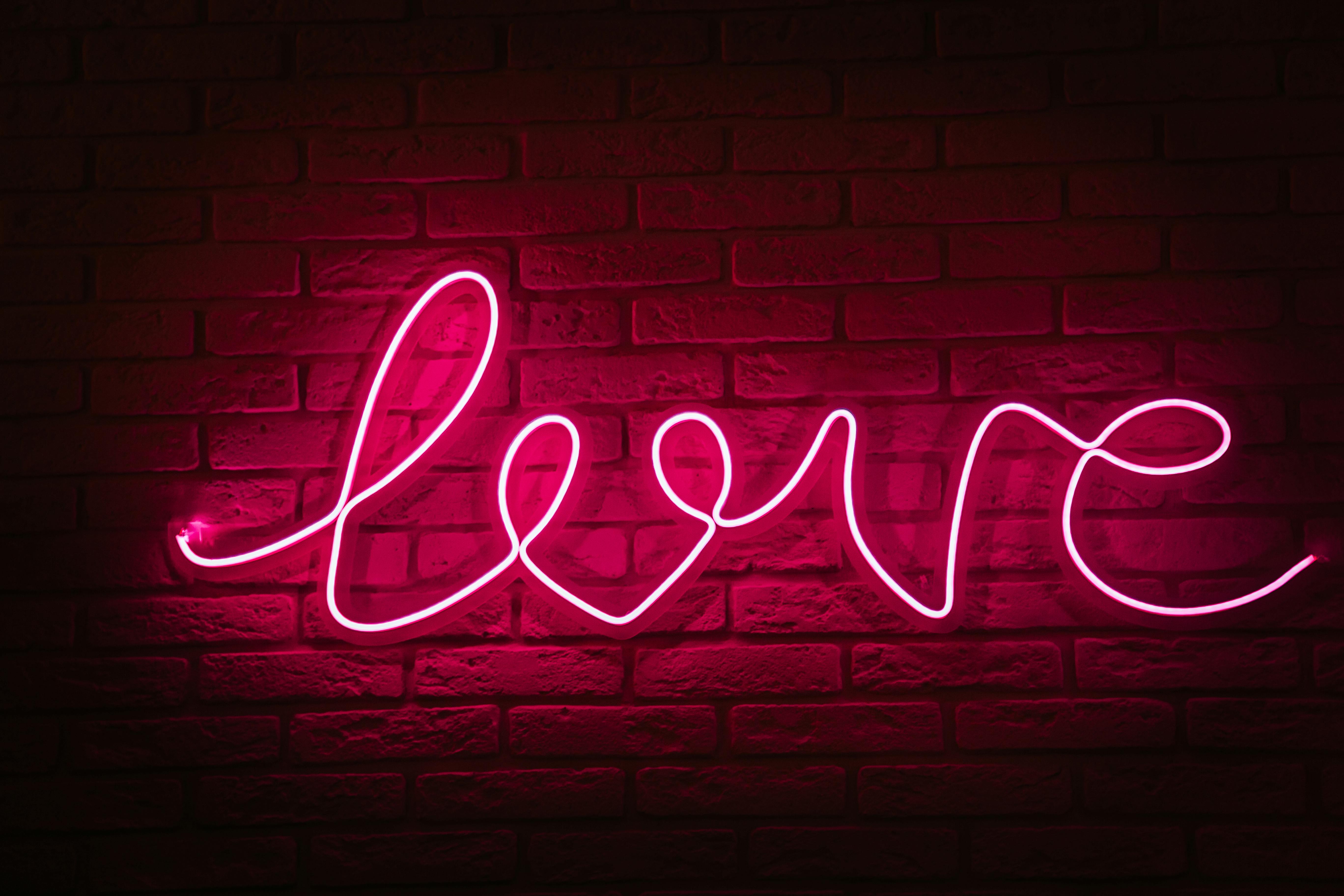 Neon Pink Brick Wall Photos, Download The BEST Free Neon Pink Brick ...