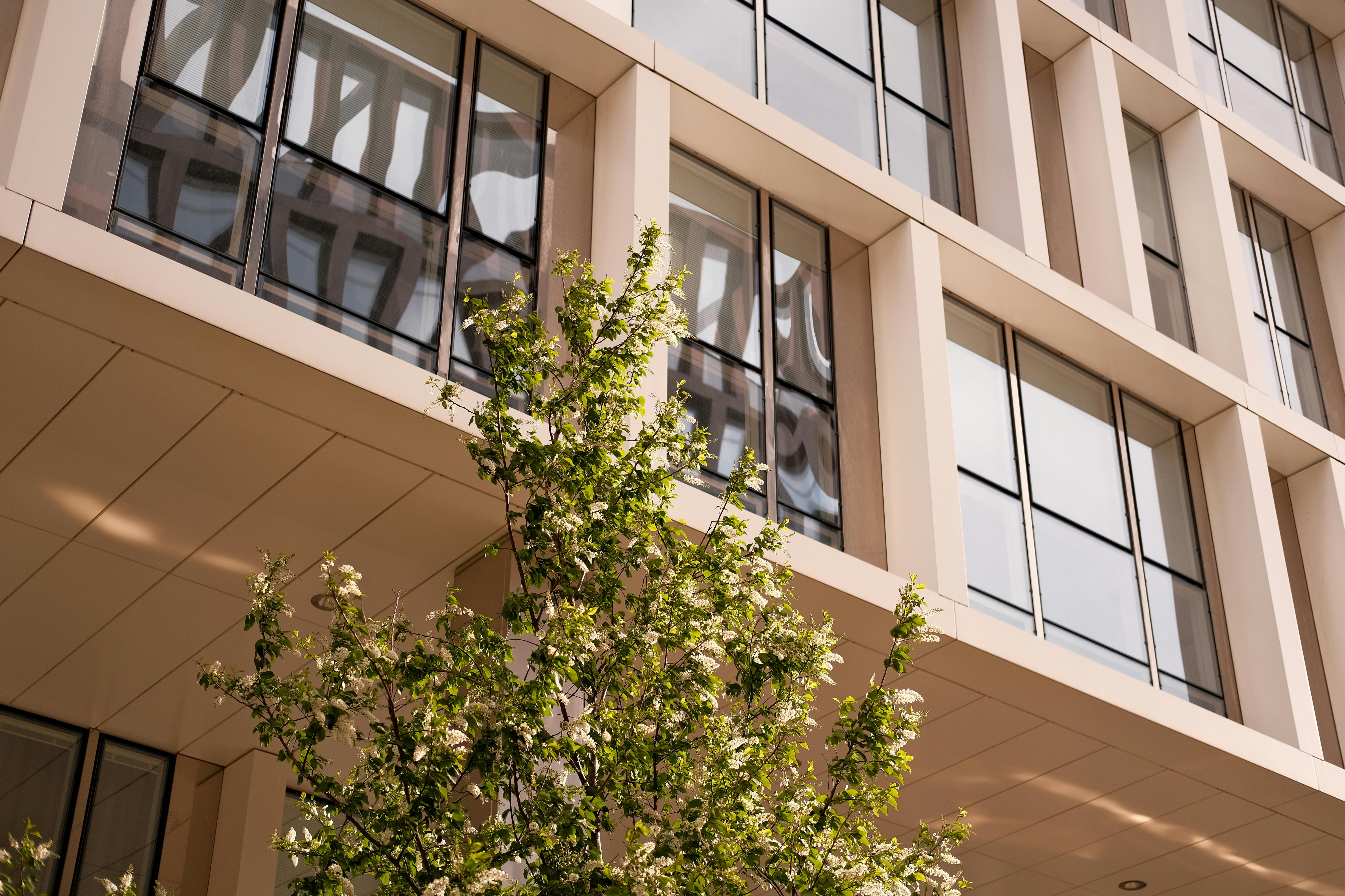 Modern Building Glass Window Architectural Design · Free Stock Photo