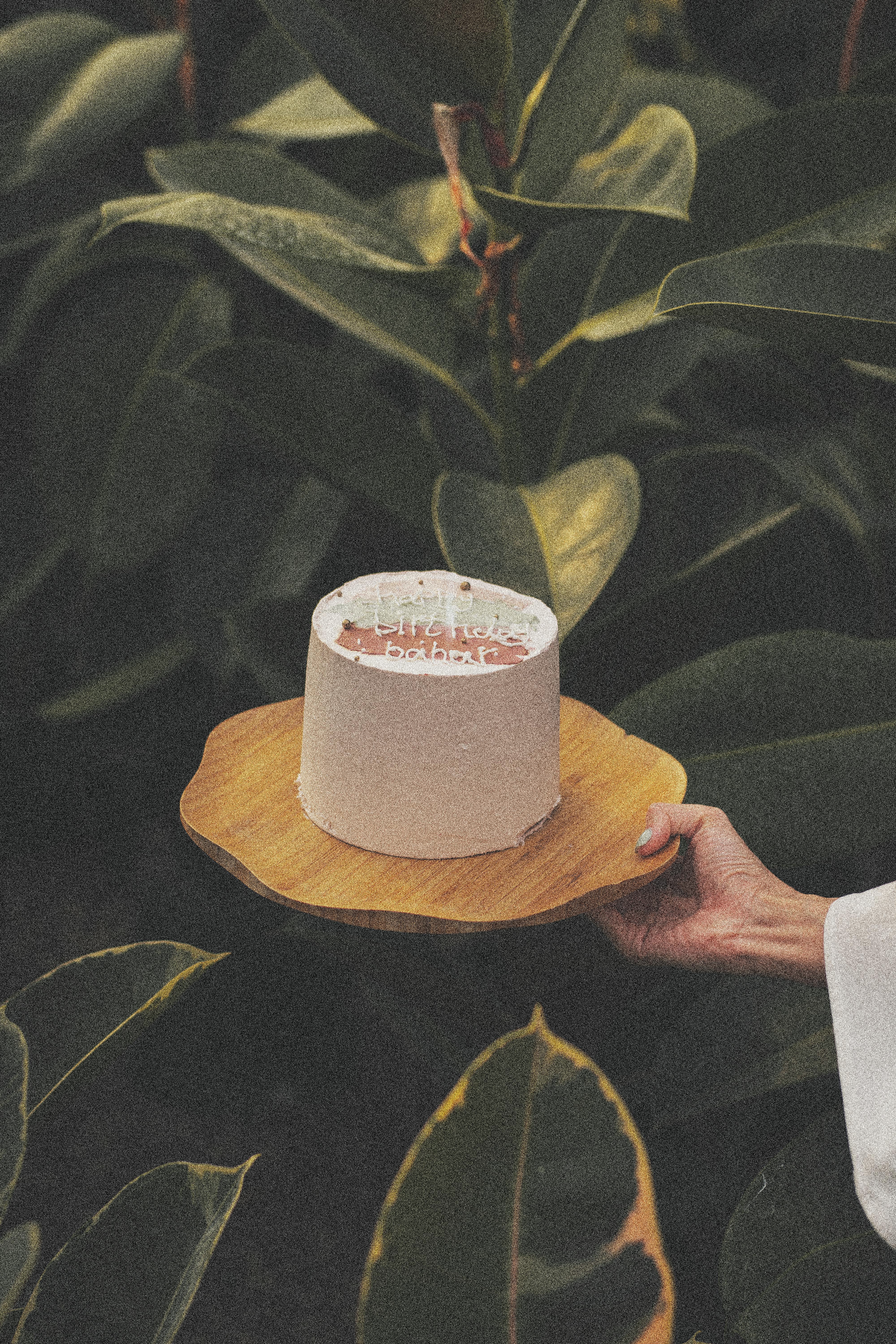 Person Holding a Birthday Cake · Free Stock Photo