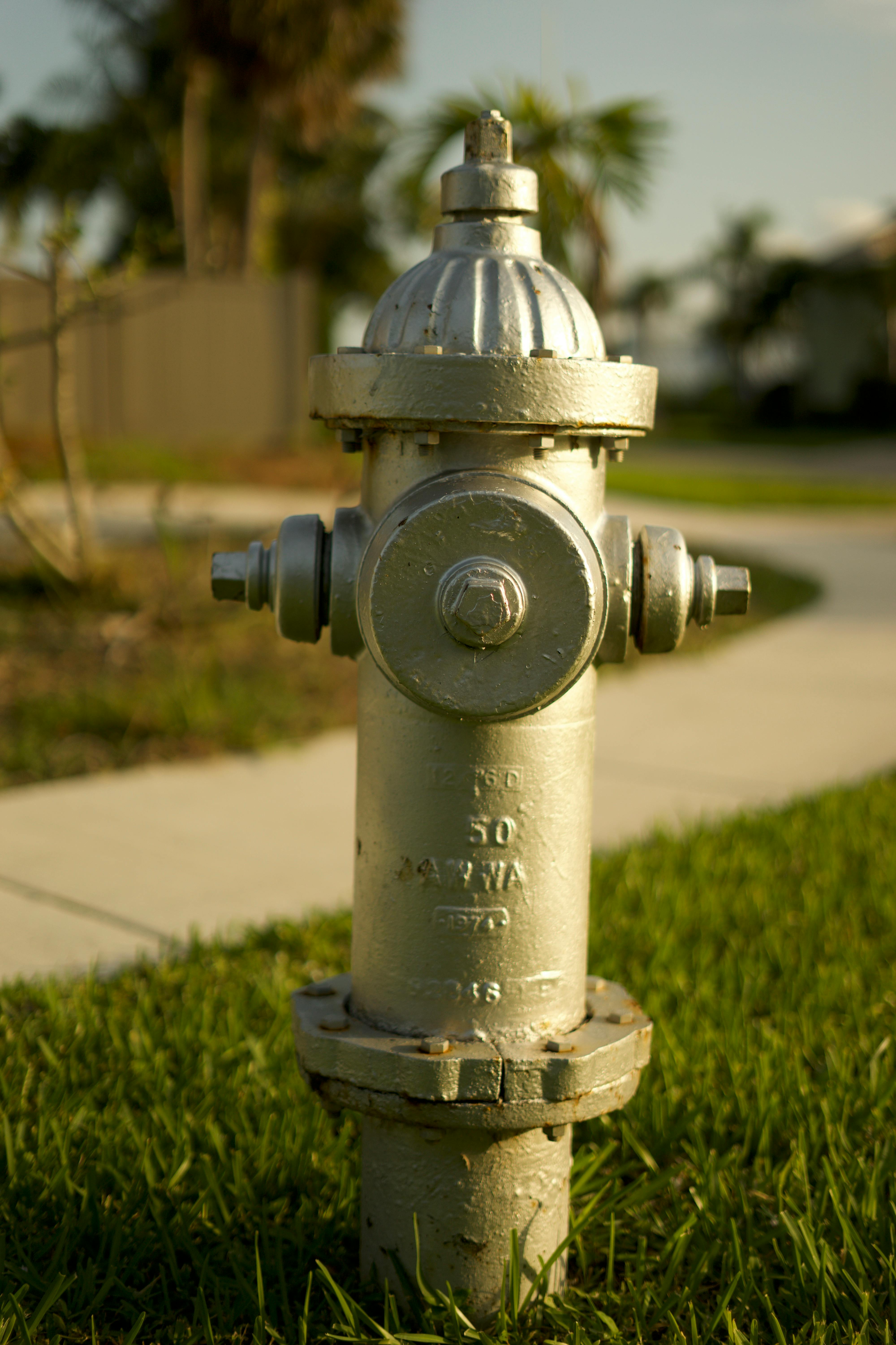 Silver Fire Hydrant · Free Stock Photo