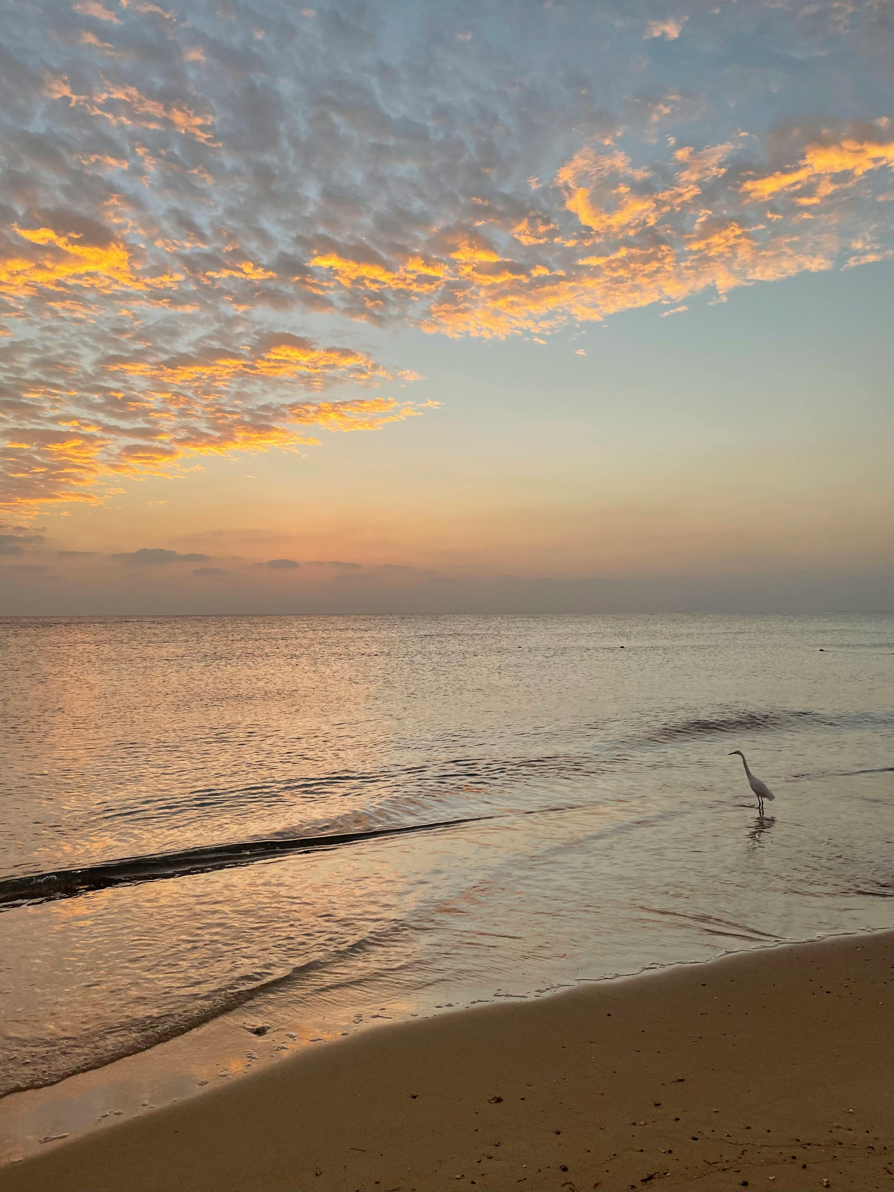 Vista Al Mar Durante El Día · Foto de stock gratuita