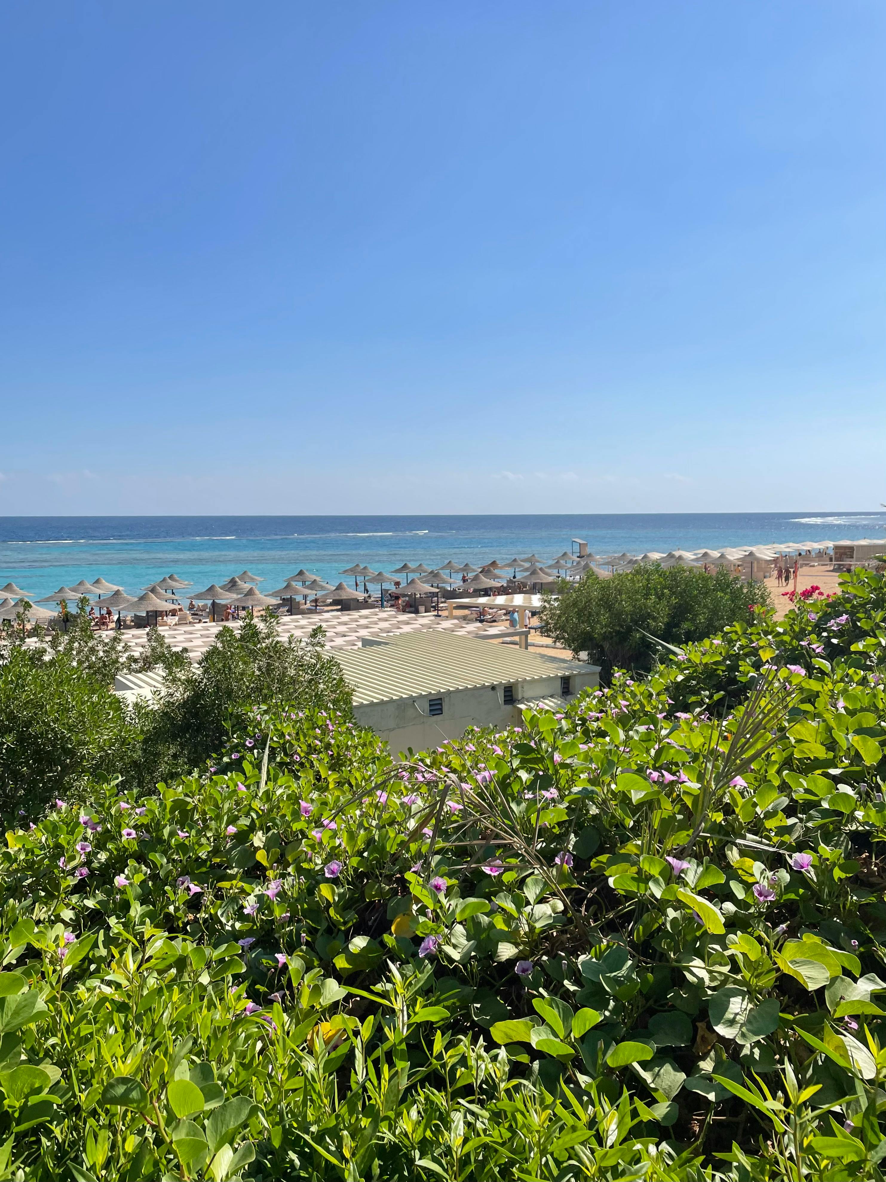 Vista Al Mar Durante El Día · Foto de stock gratuita