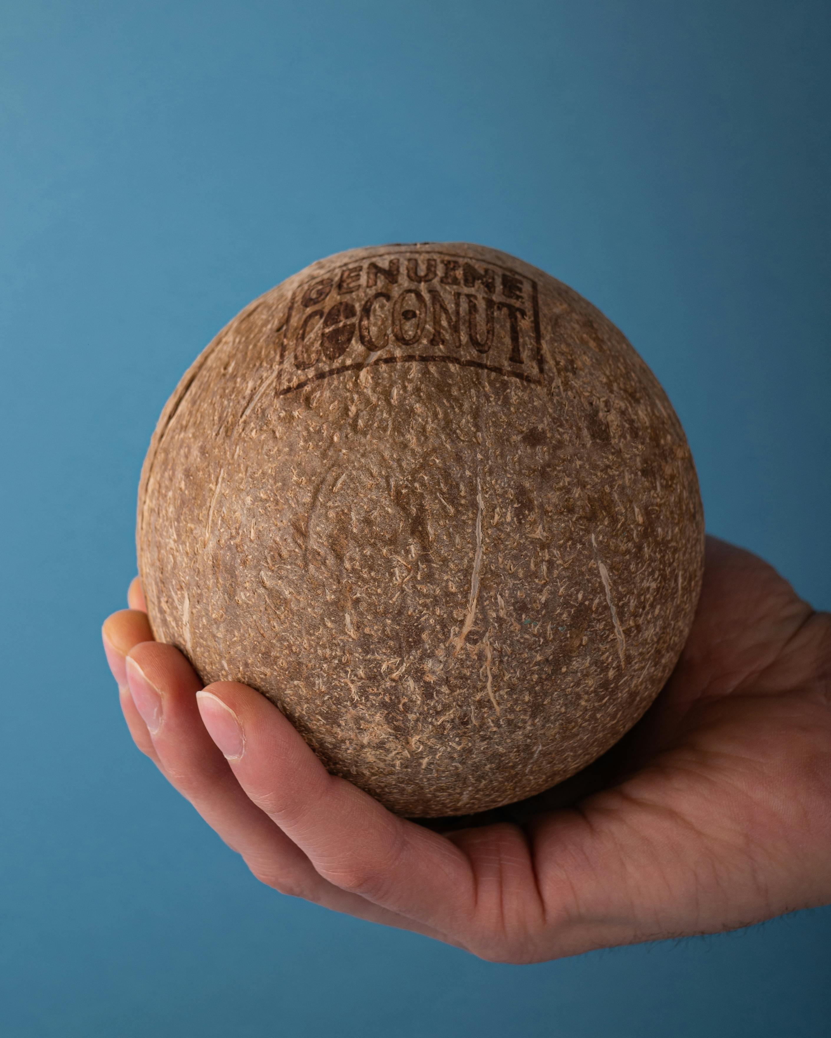 A Person Holding a Brown Coconut Shell · Free Stock Photo