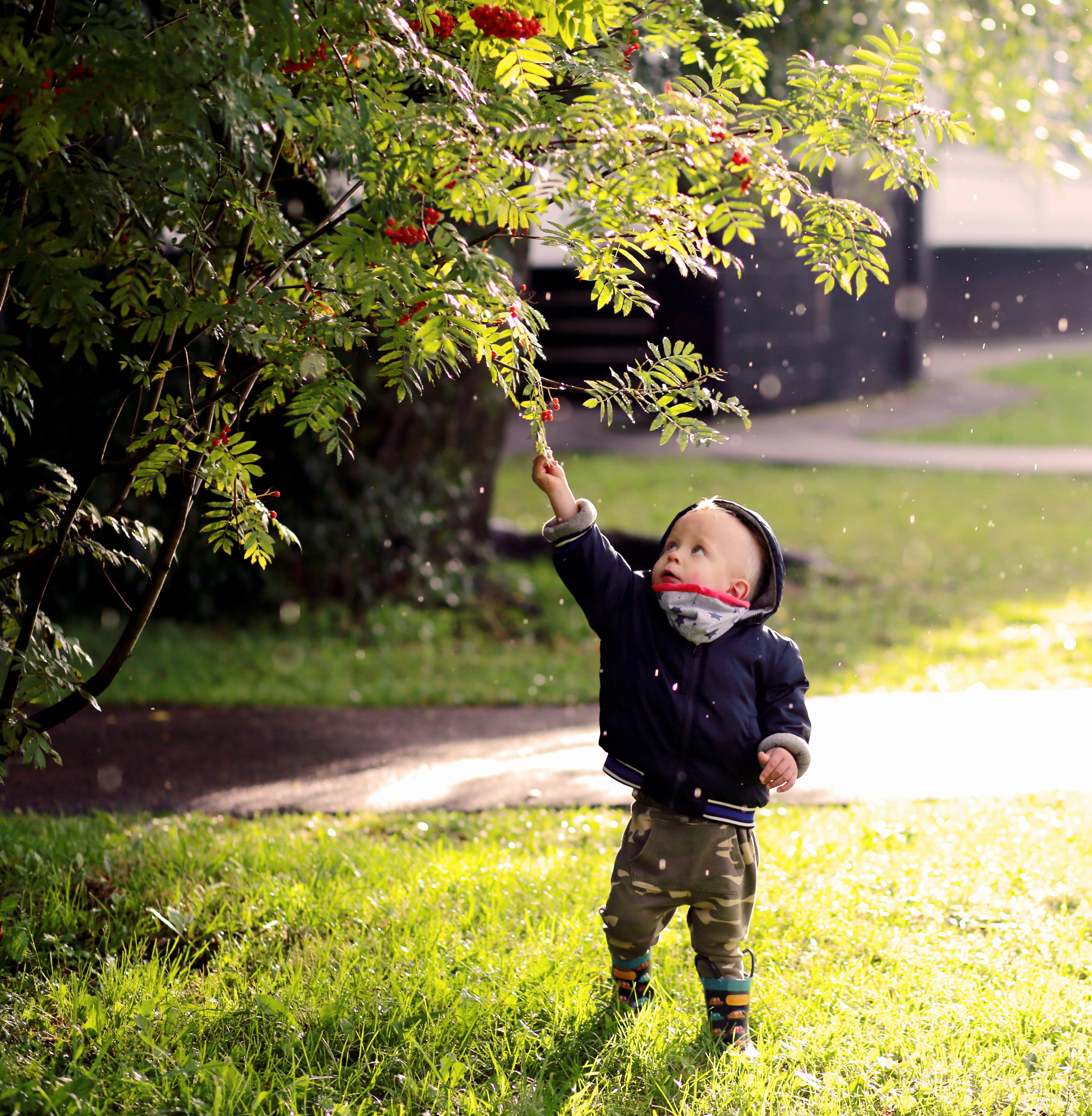 Spring Baby Photos, Download The BEST Free Spring Baby Stock Photos ...