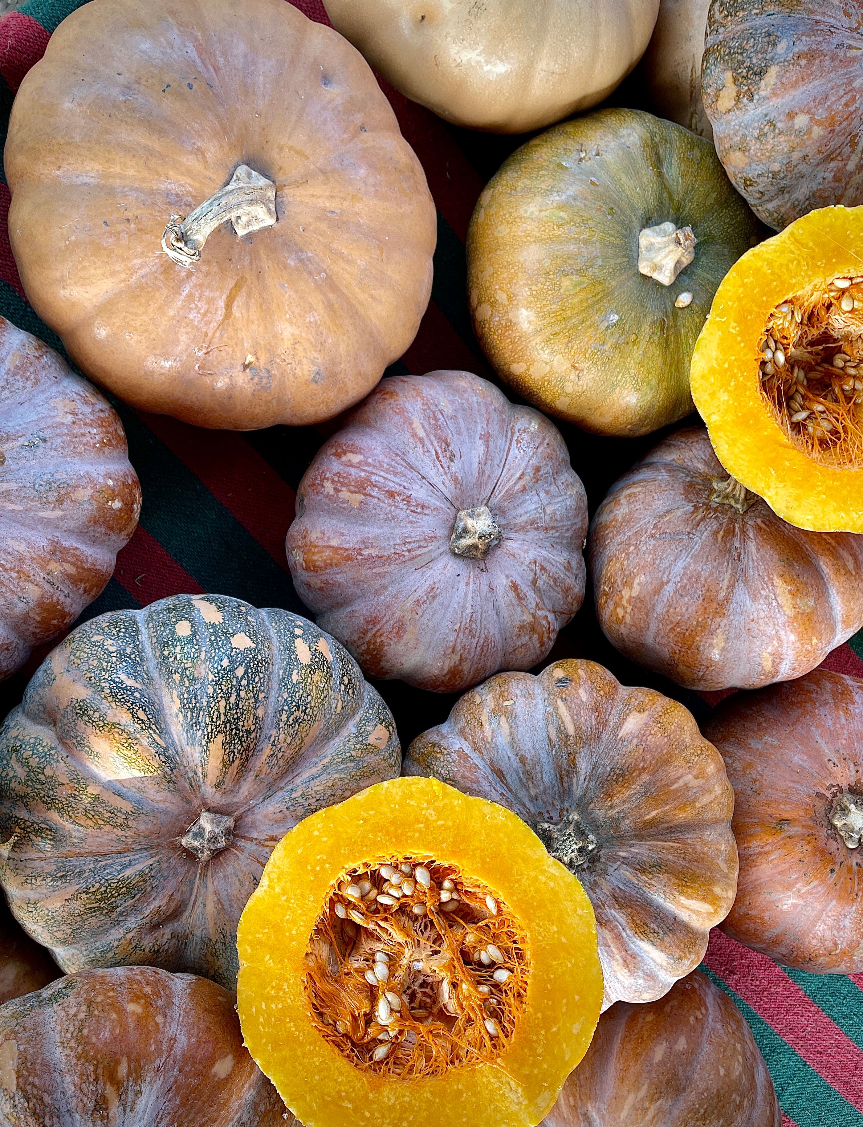 Selective Focus Photo Of Pumpkins · Free Stock Photo