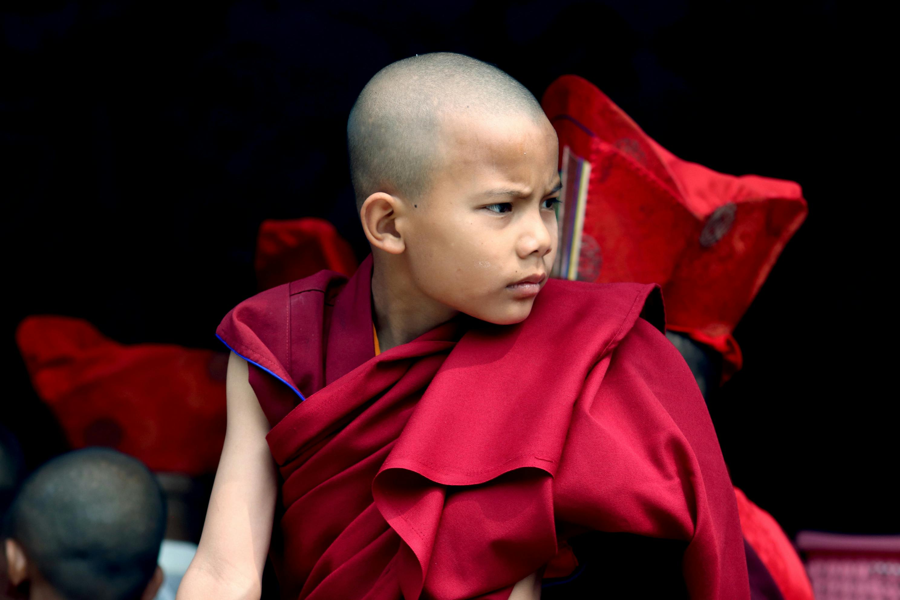 Boy Monk Inside Traditional Monastery · Free Stock Photo
