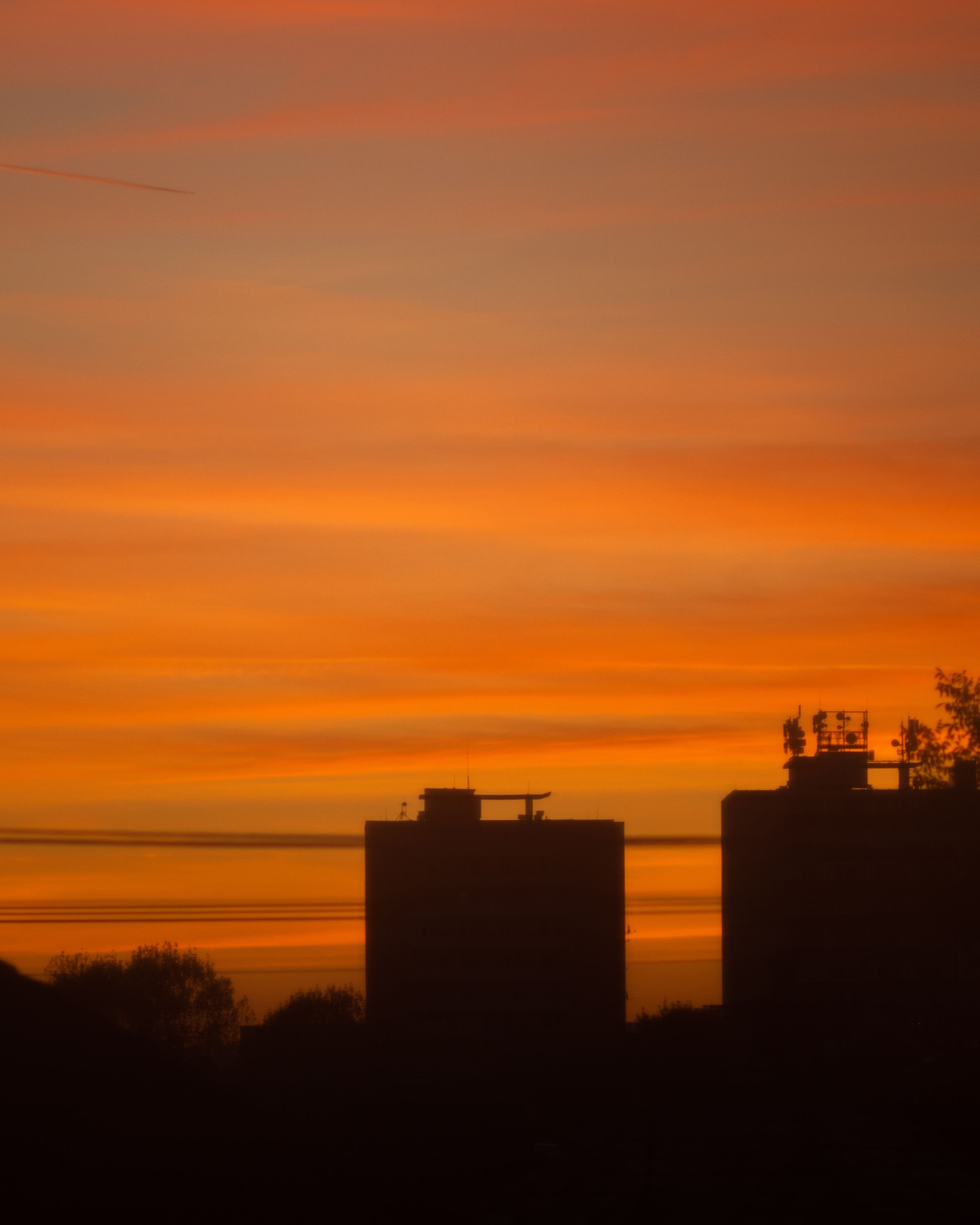 Silhouette of City Buildings · Free Stock Photo