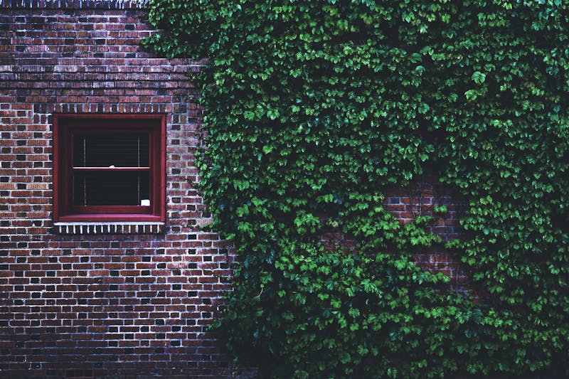 70,000+张最精彩的“Wall”图片 · 100%免费下载 · Pexels素材图片