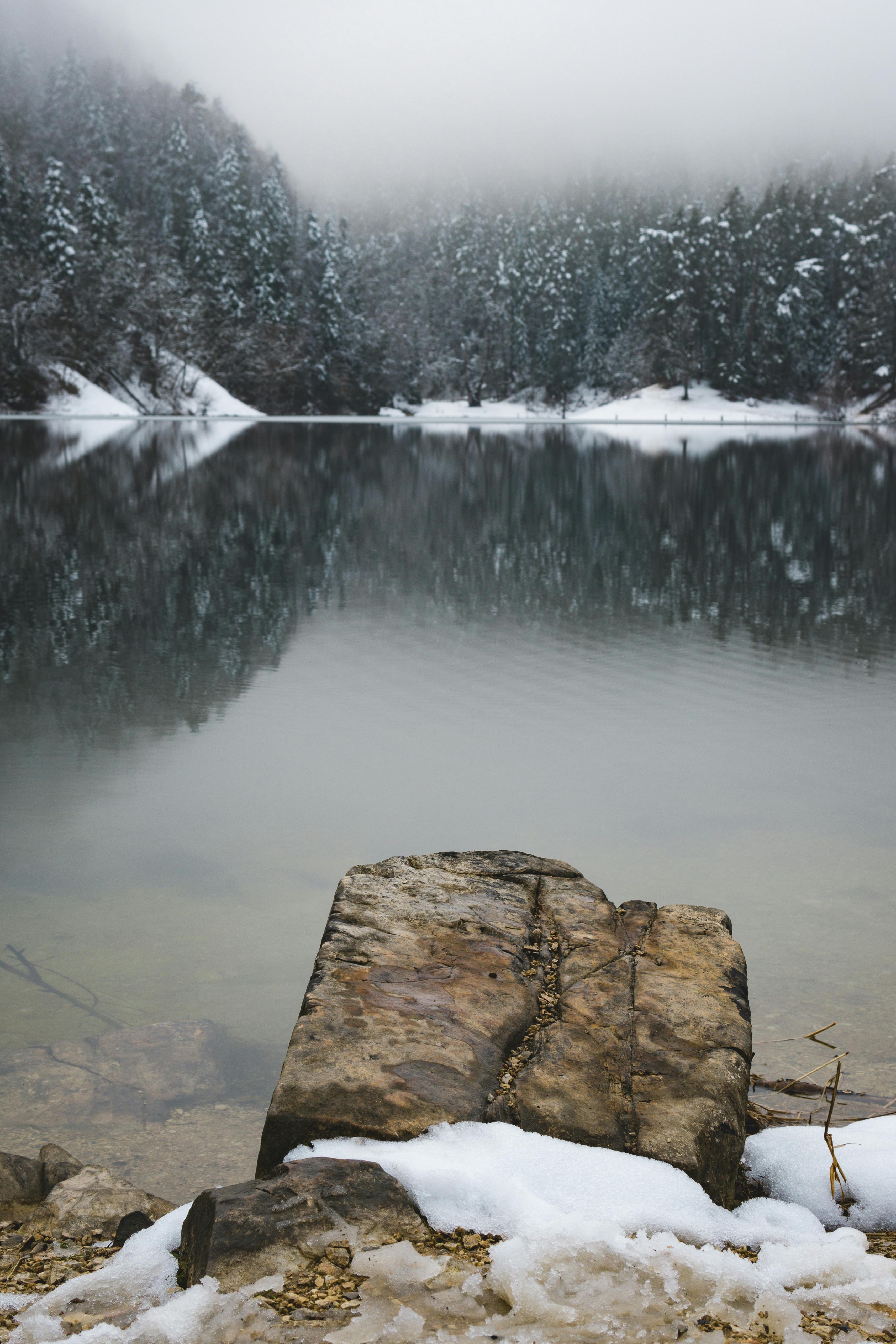 Calm Water Surface of a Lake · Free Stock Photo